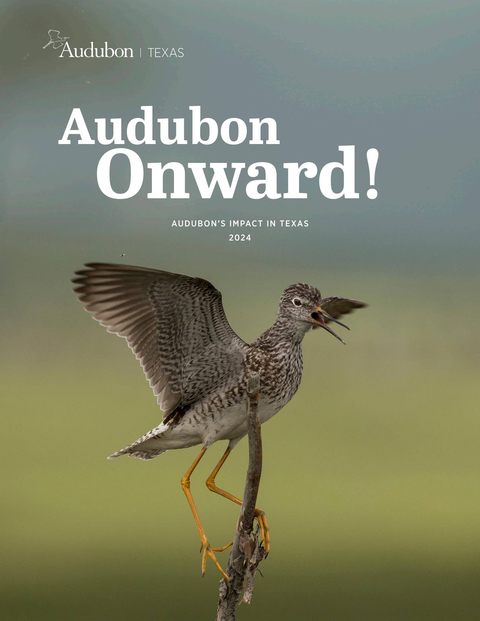 Audubon Texas Impact Report 2024 by audubondc - Issuu