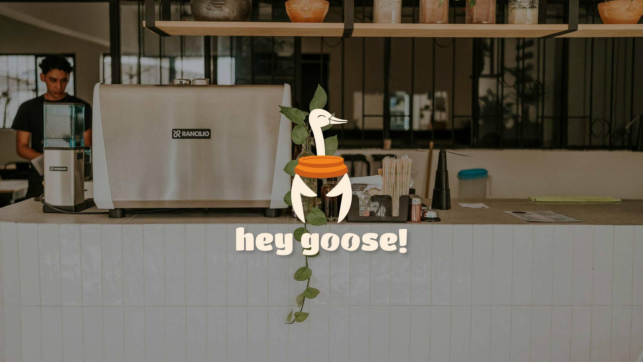 Manual de marca Hey Goose by Antonia Durand - Issuu