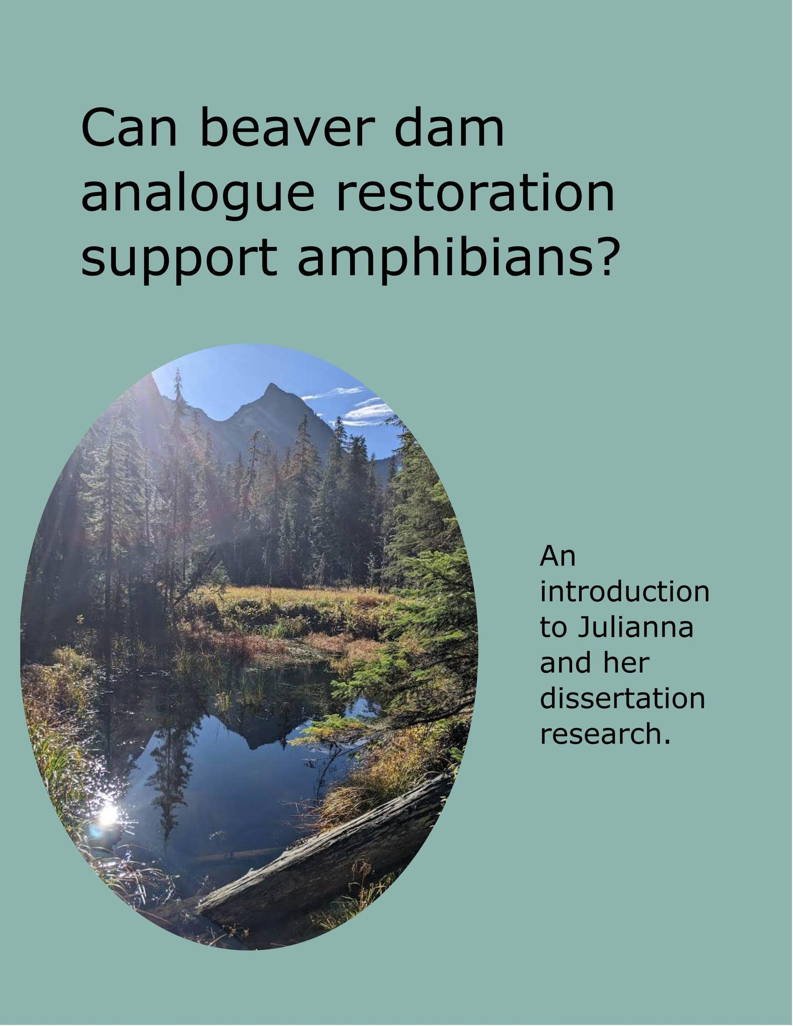 Beaver Dam Analogues Support Amphibians by julianna.hoza - Issuu