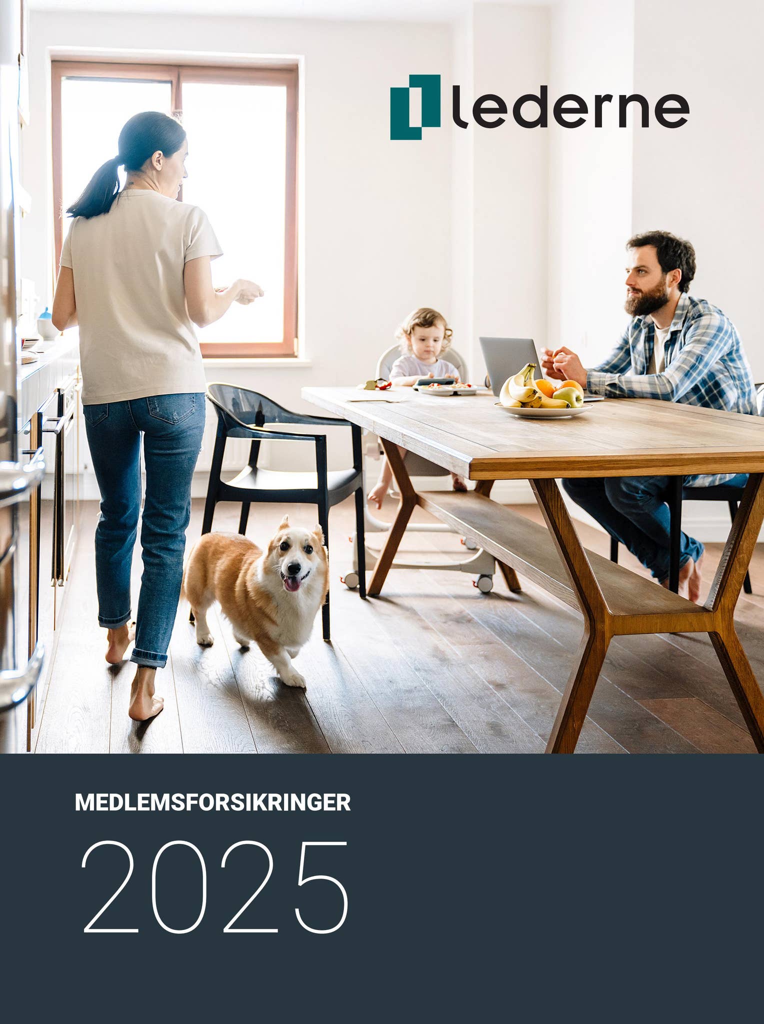 Ledernes medlemsforsikringer 2025 by soderbergpartners - Issuu