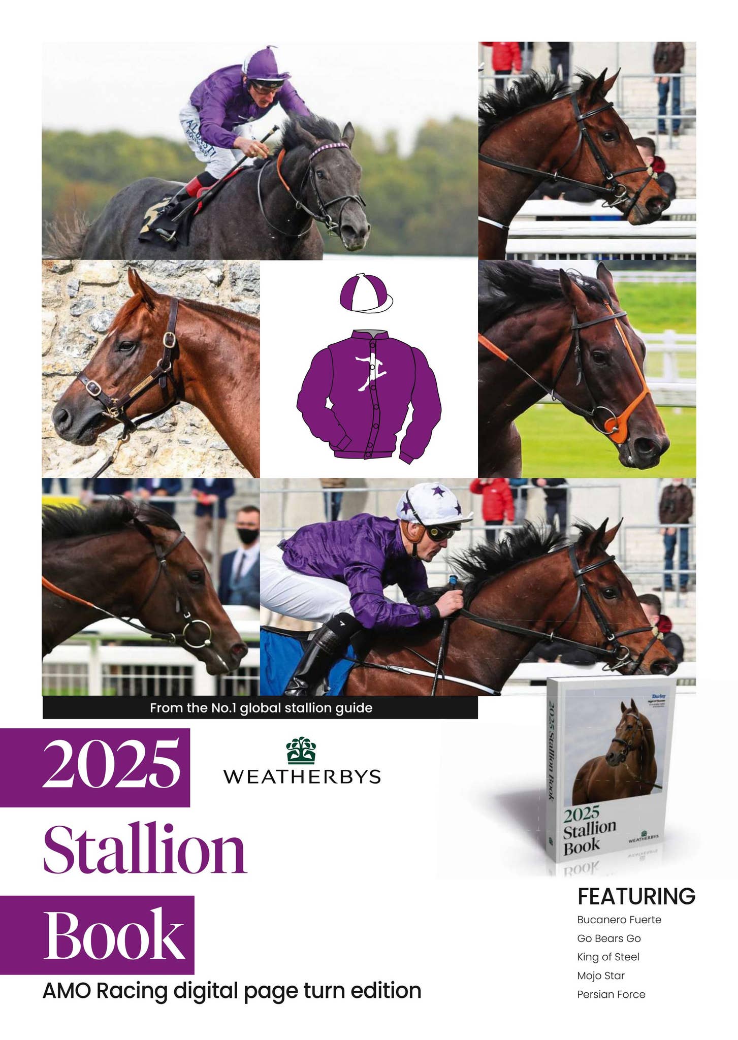 Weatherbys Stallion Book 2025 - AMO Racing Edition by Weatherbys - Issuu