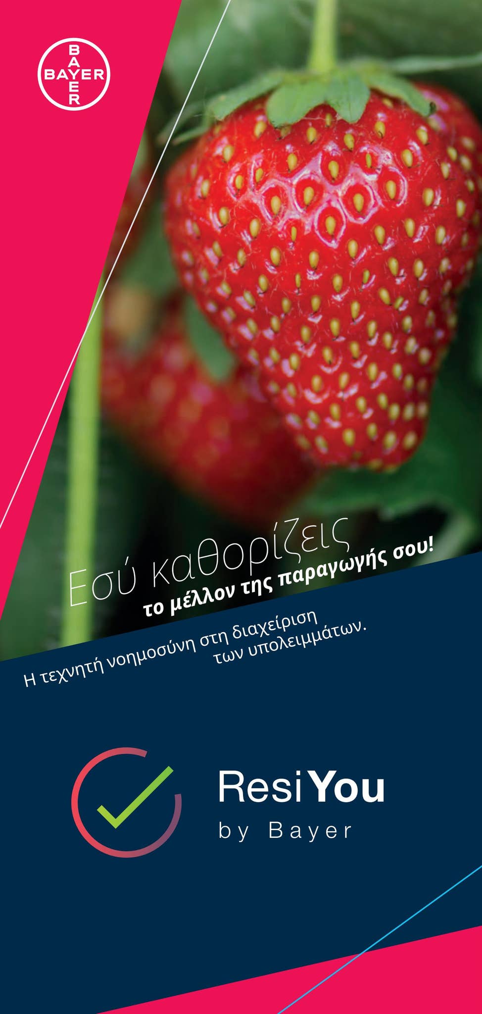 ResiYou - Εσύ καθορίζεις το μέλλον της παραγωγής σου! by Bayer Hellas Crop Science - Issuu