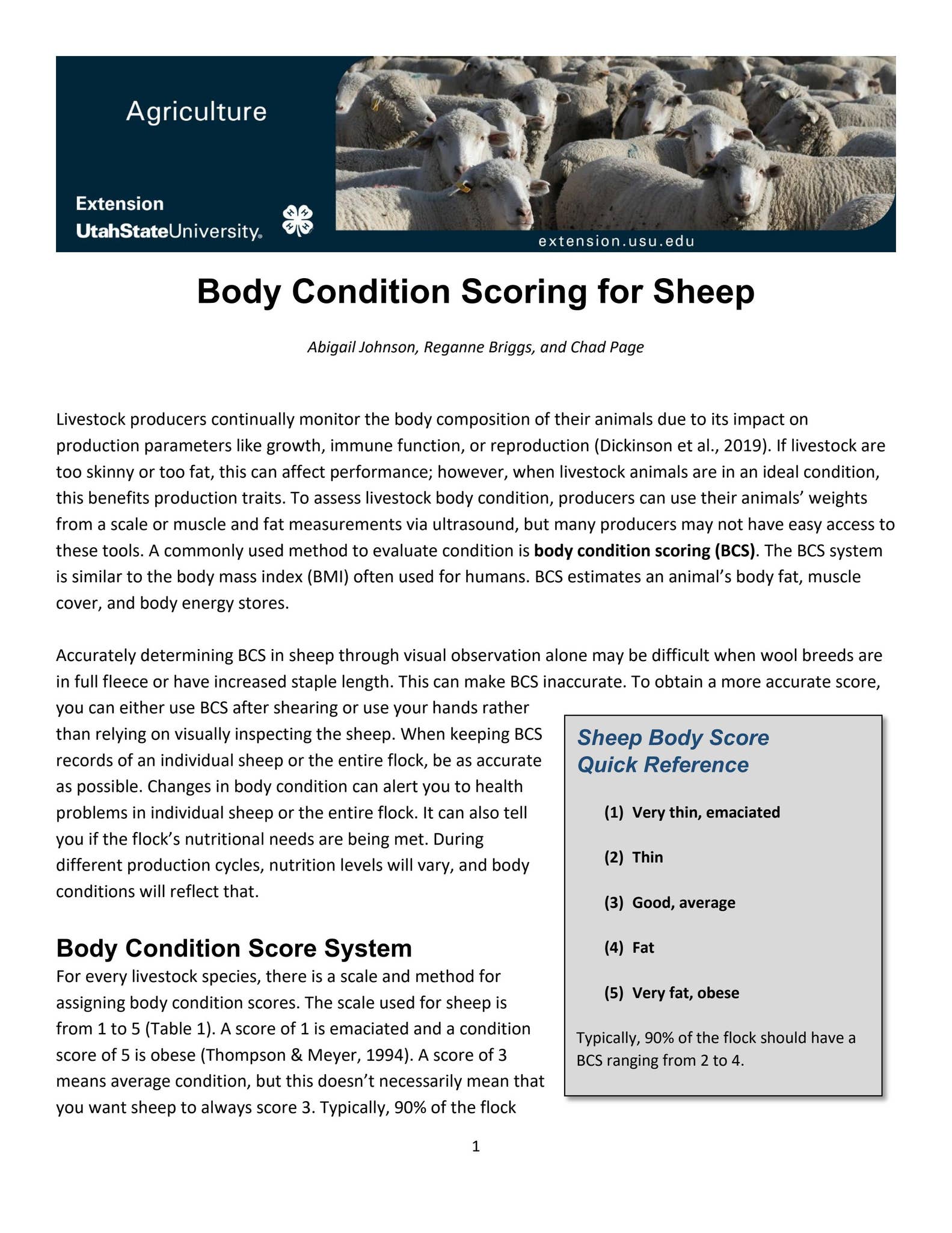 Body Condition Scoring for Sheep by Utah State University Extension - Issuu