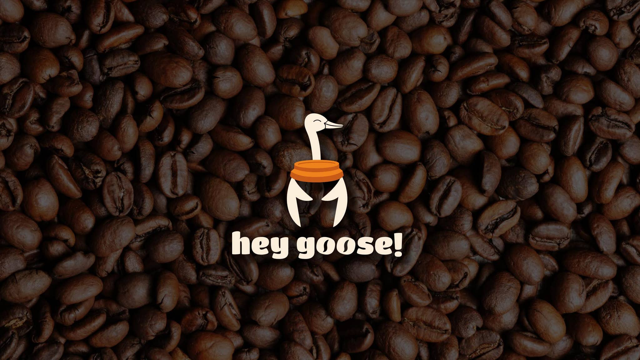 Brandbook heyGoose by Antonia Durand - Issuu