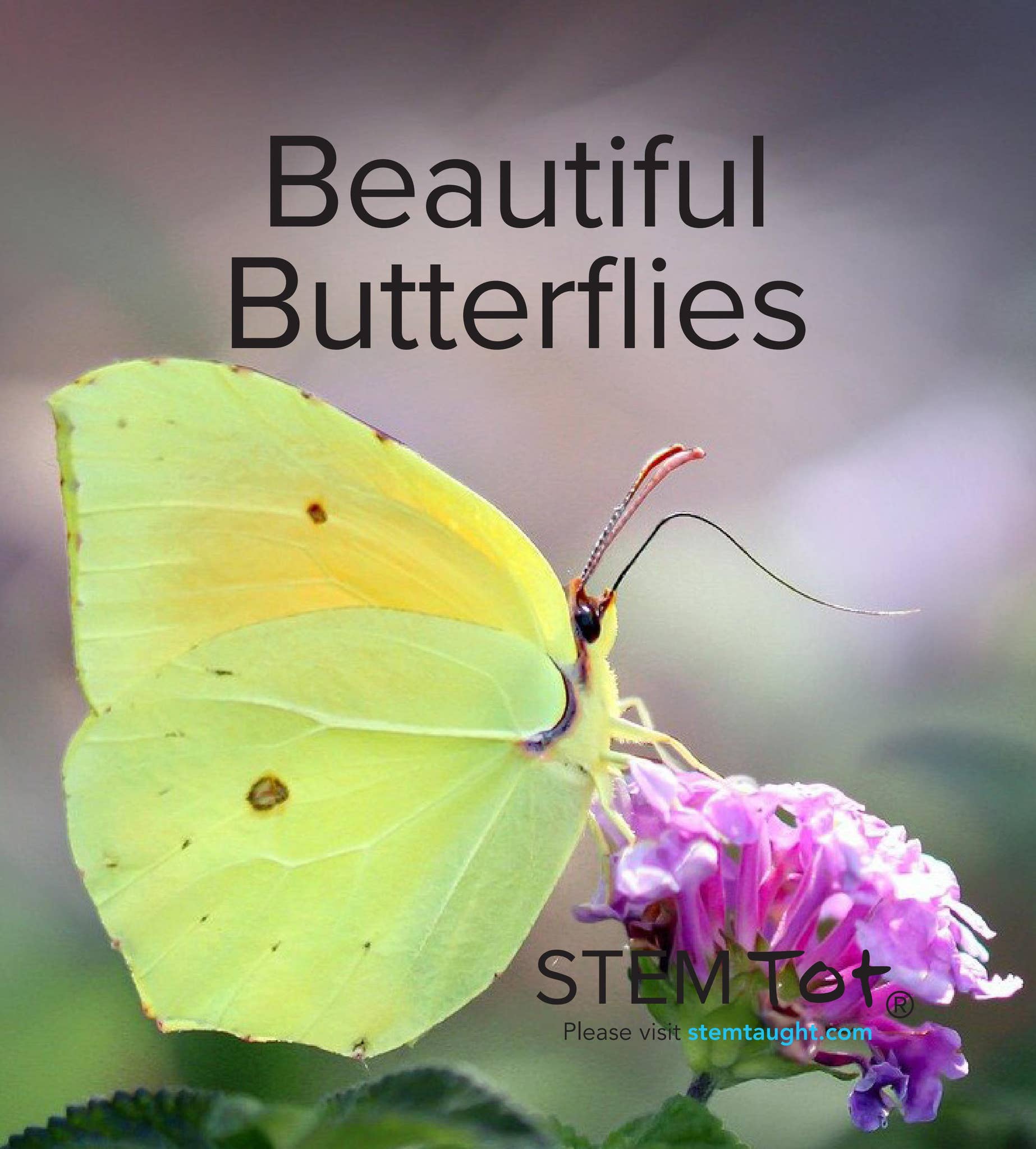 TK Tiny Book_Beautiful Butterflies by STEMTaught - Issuu