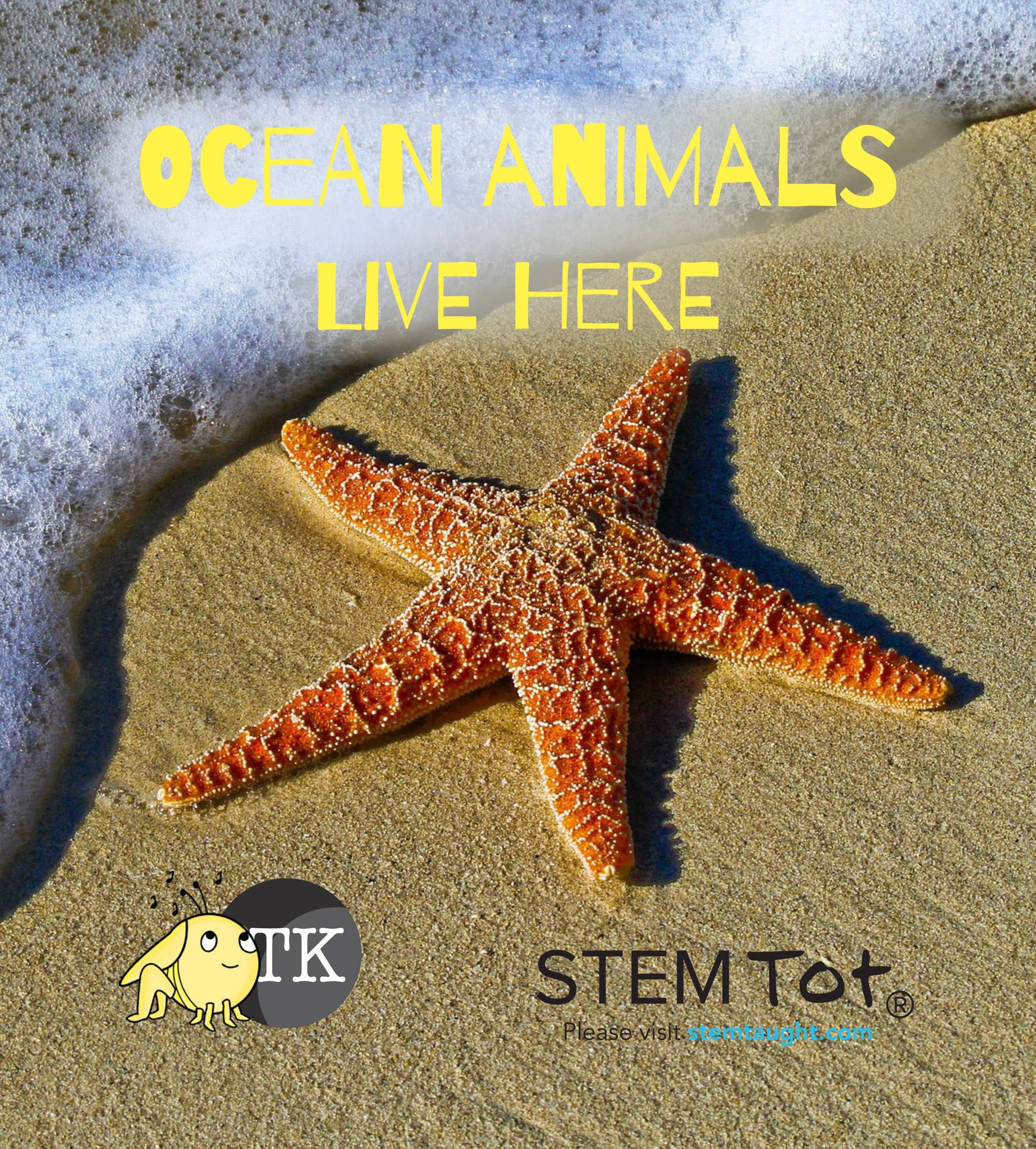 Ocean Animals Live Here by STEMTaught - Issuu
