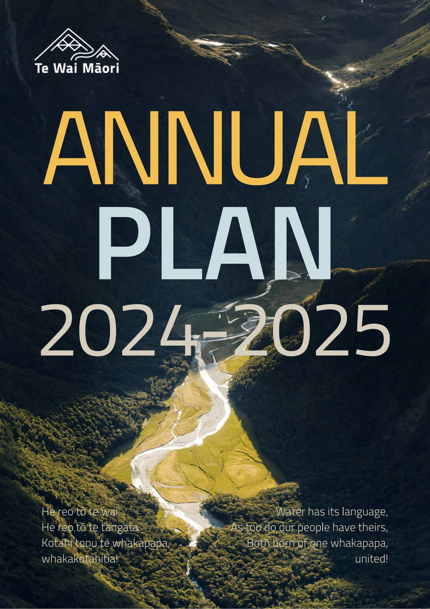 Te Wai Māori Trust Annual Plan 2024-25 by Te Wai Māori Trust - Issuu