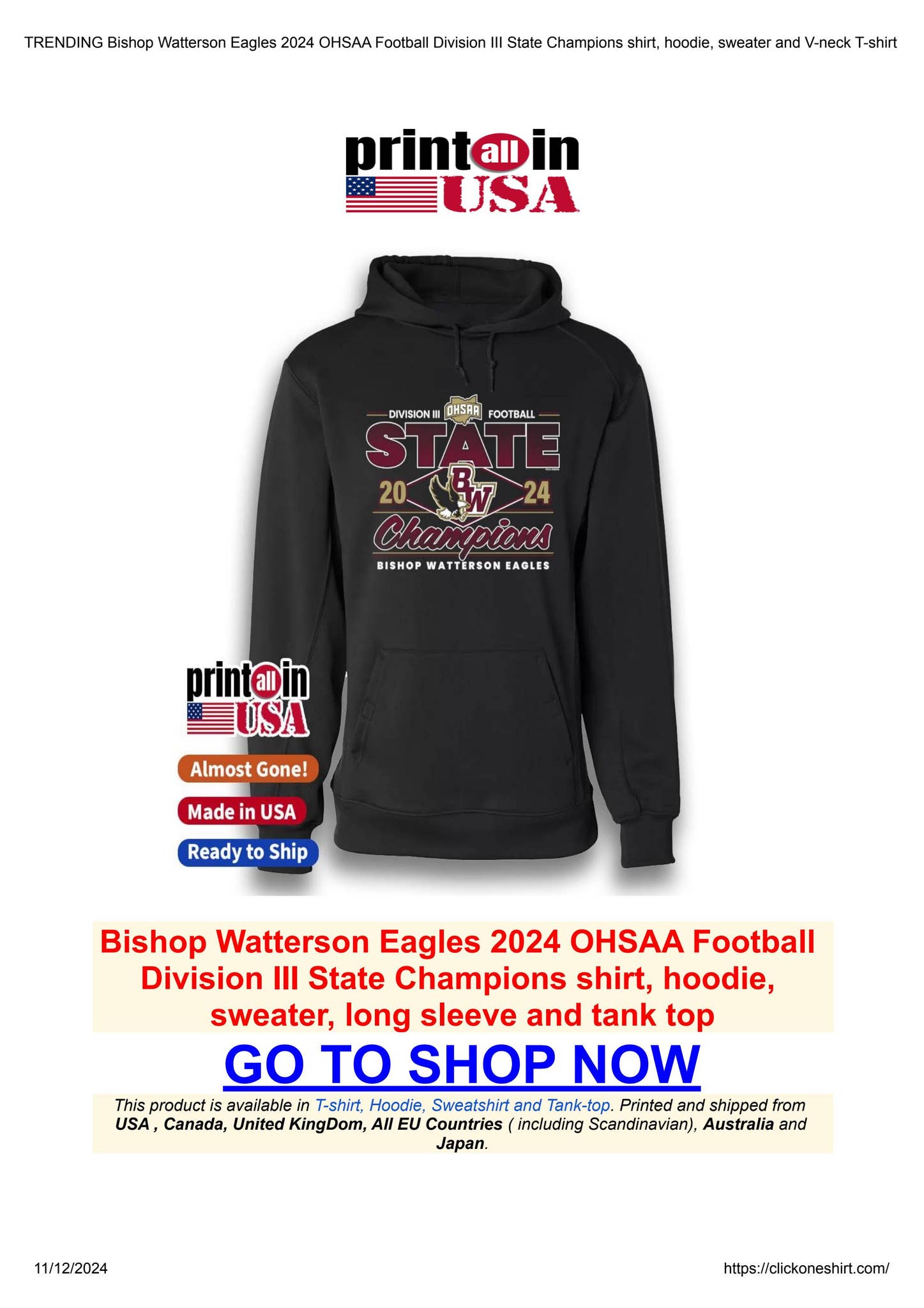 Bishop Watterson Eagles 2024 OHSAA Football Division III State ...