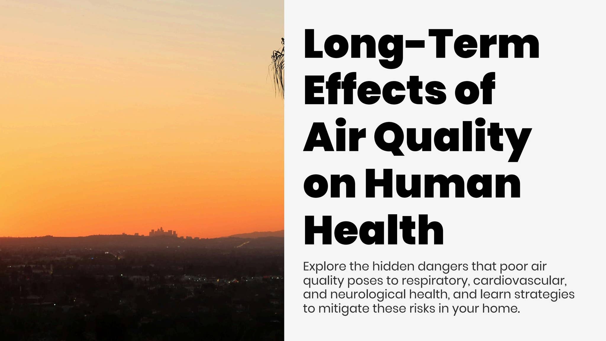 Long-Term Effects of Air Quality on Human Health by Top Decks - Issuu