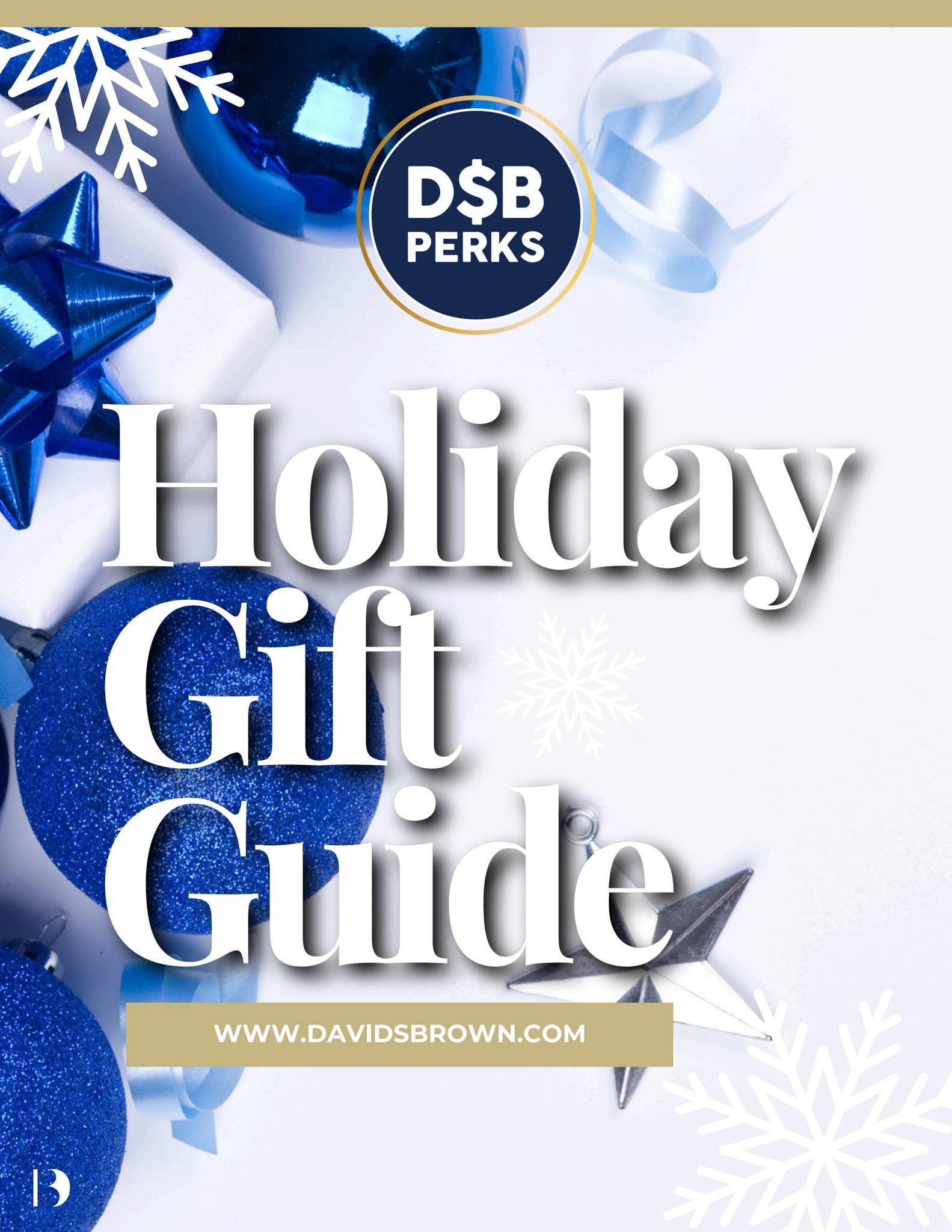 DSB Perks Holiday Gift Guide 2024 by David S. Brown Enterprises - Issuu