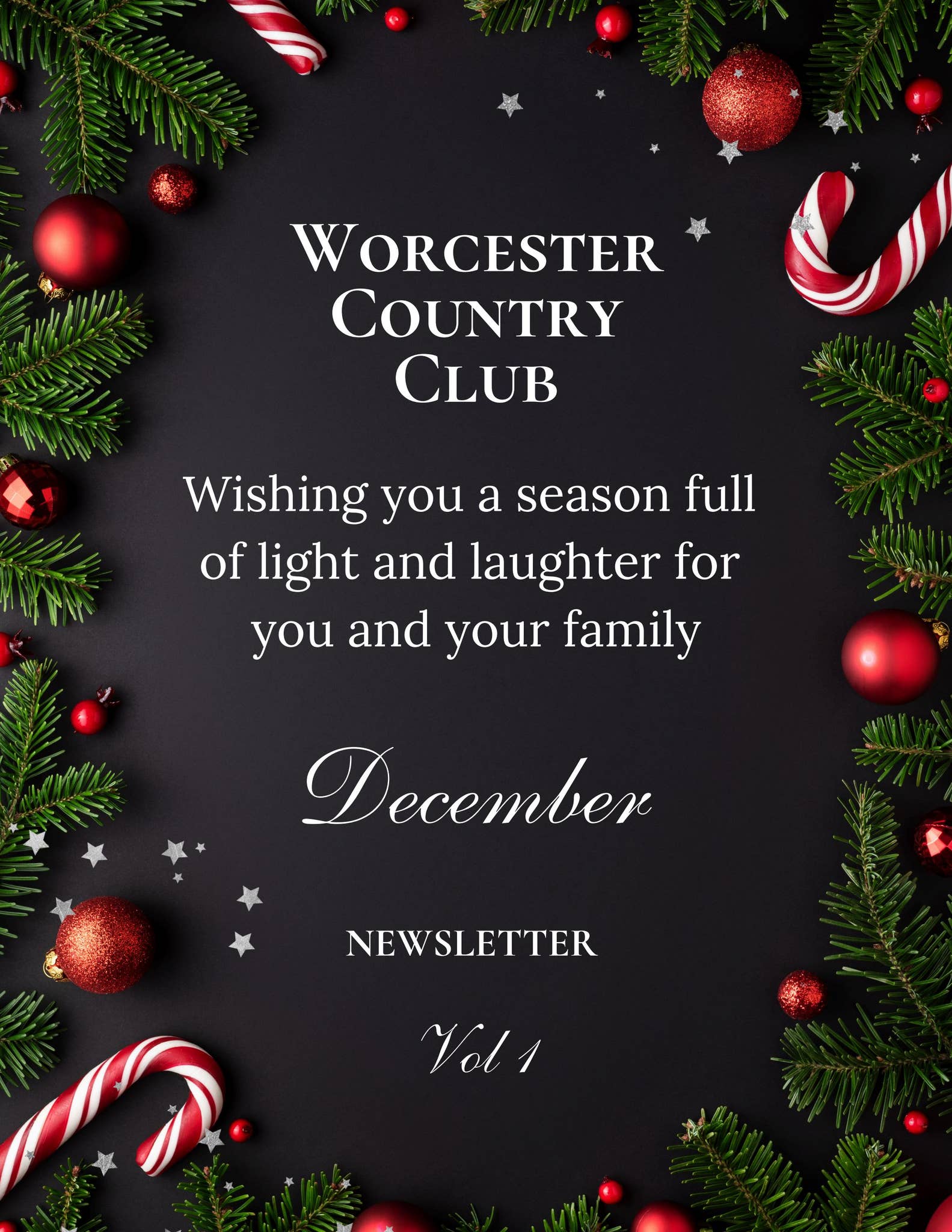 _ December Newsletter vol. 1 (8) by worcestercc - Issuu