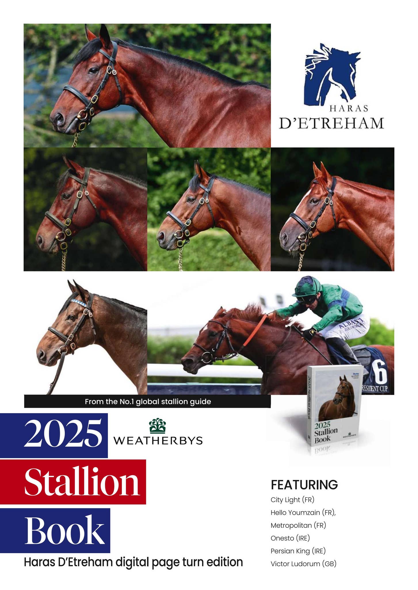Weatherbys Stallion Book 2025 - Haras D’Etreham edition by Weatherbys ...