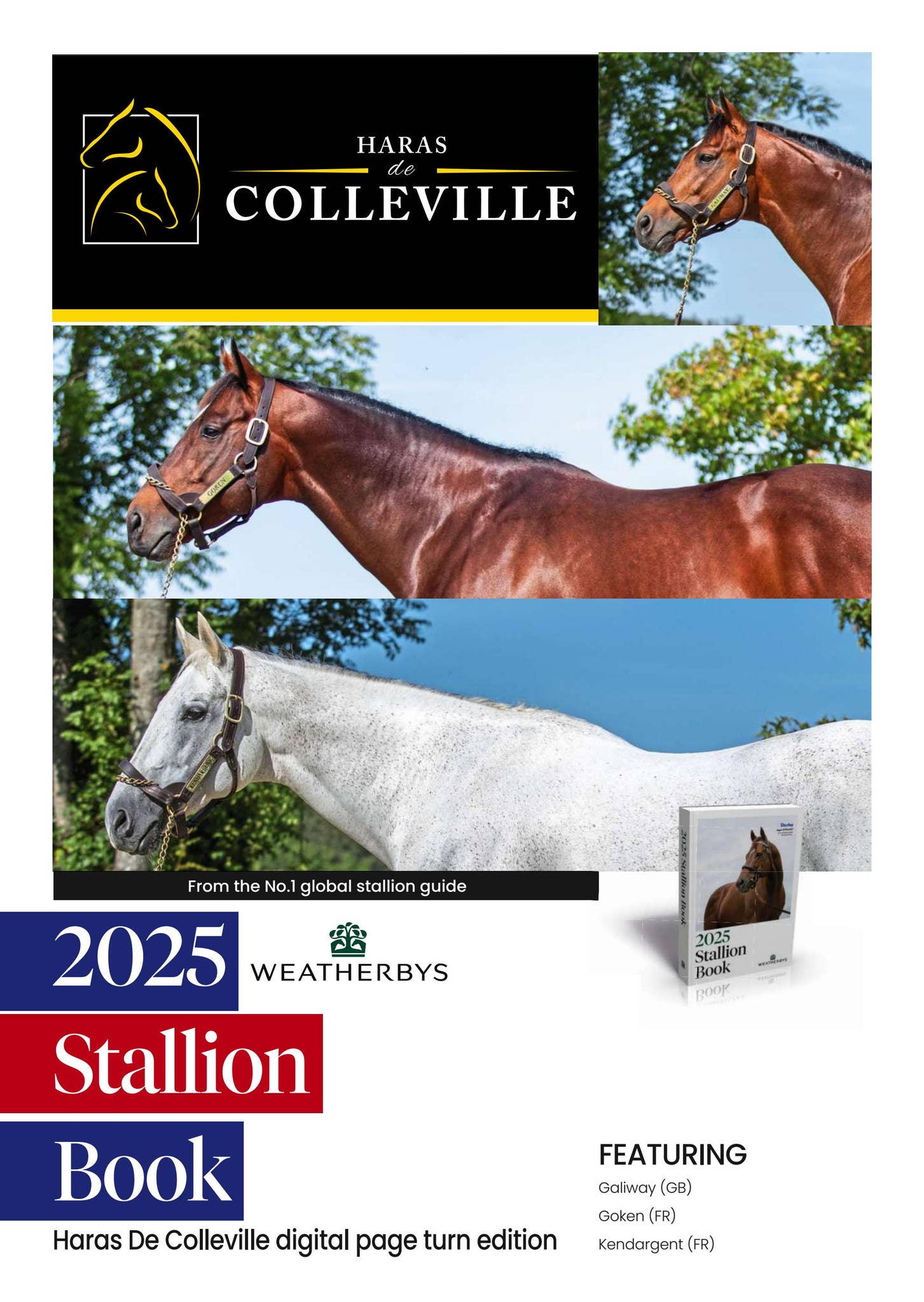 Weatherbys Stallion Book 2025 - Haras De Colleville Edition by ...