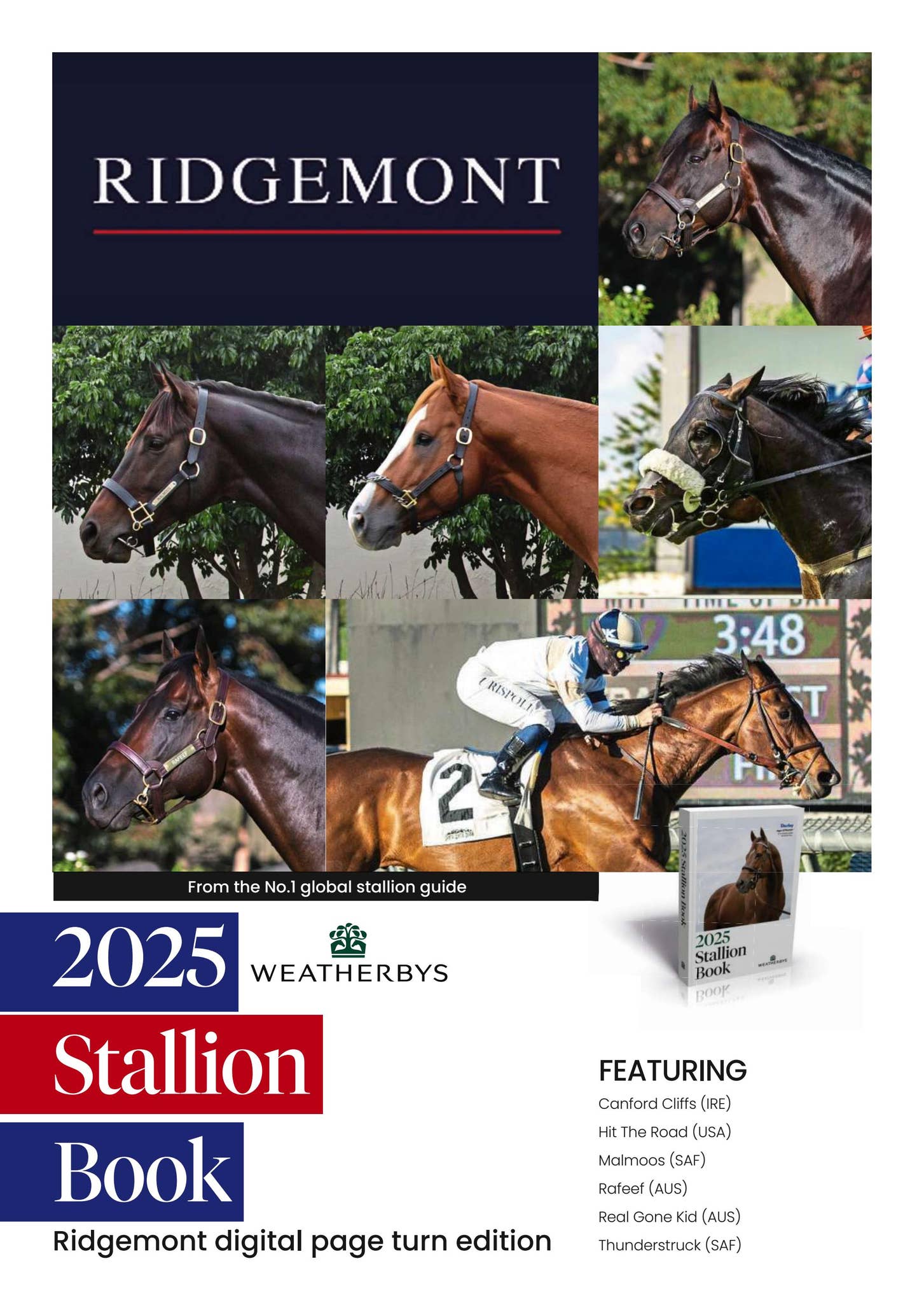 Weatherbys Stallion Book 2025 - Ridgemont Edition by Weatherbys - Issuu