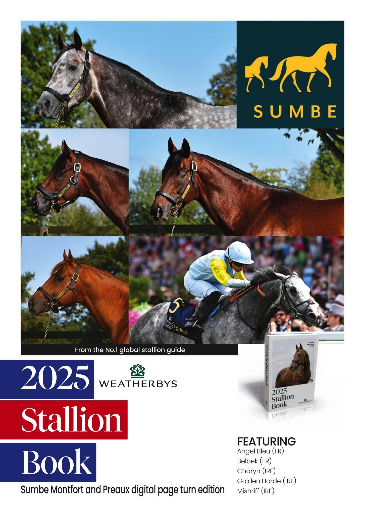 Weatherbys Stallion Book 2025 - Sumbe Edition by Weatherbys - Issuu