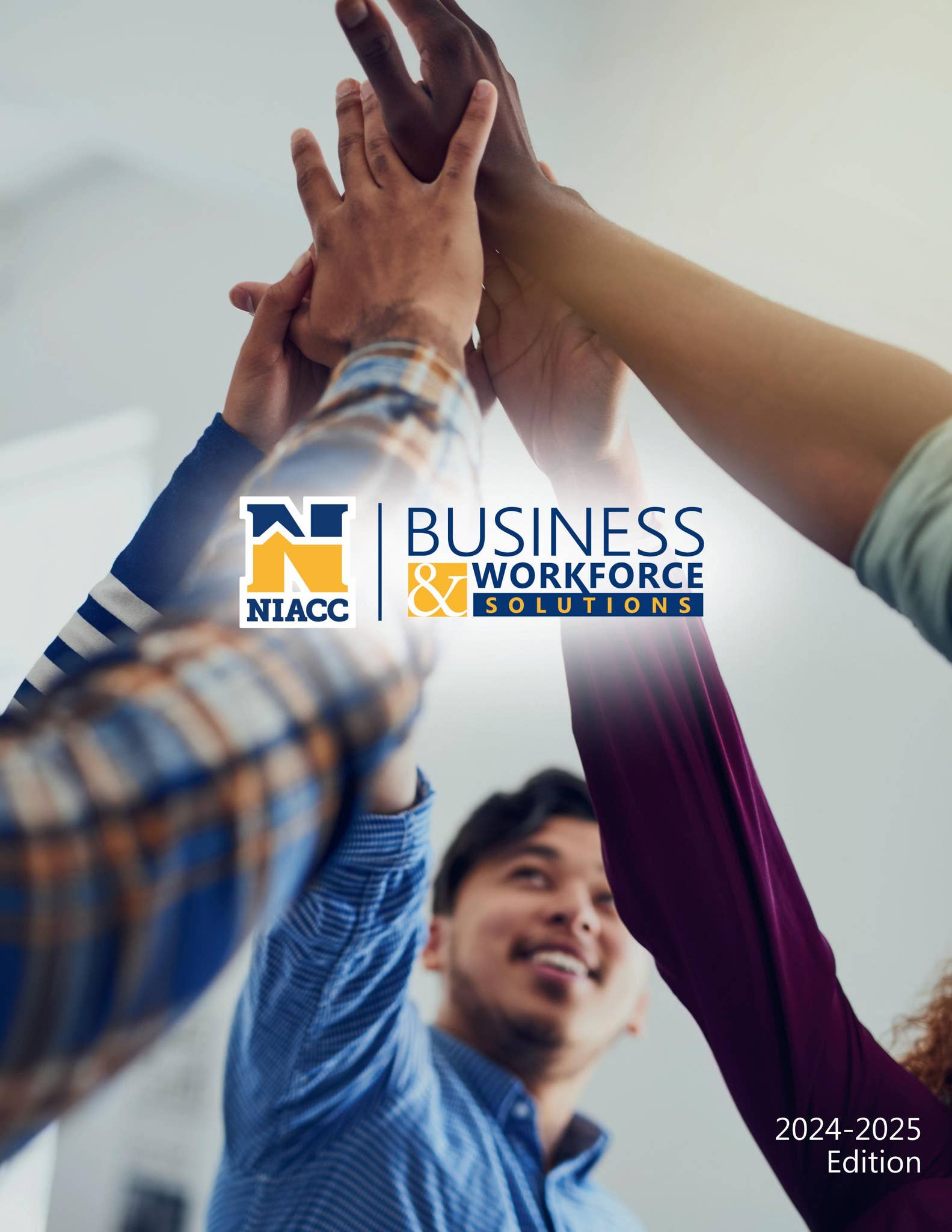 Business and Workforce Solutions Catalog: 2024-2025 by niacc_marketing - Issuu