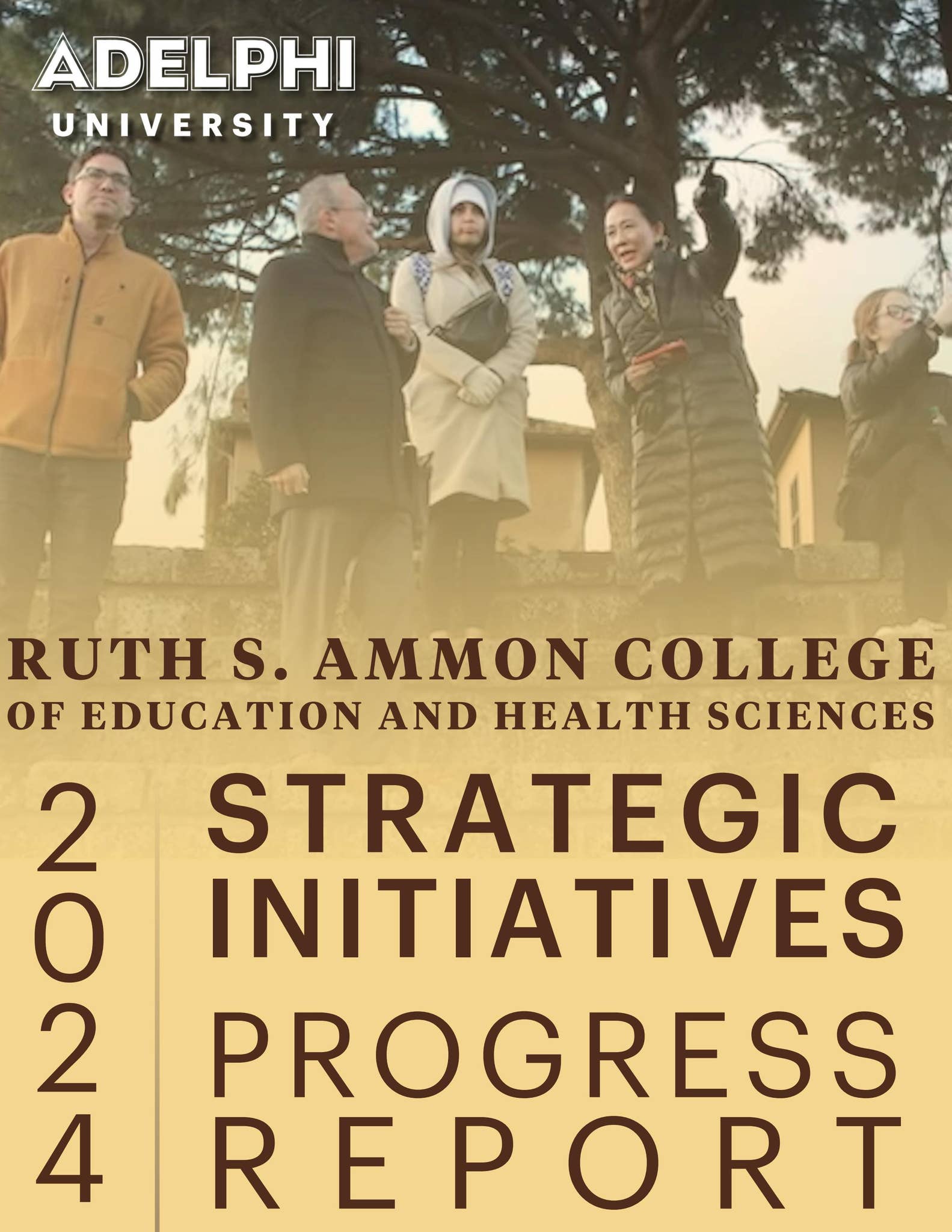 Adelphi University's RSA CEHS 2024 Strategic Initiatives Progress ...