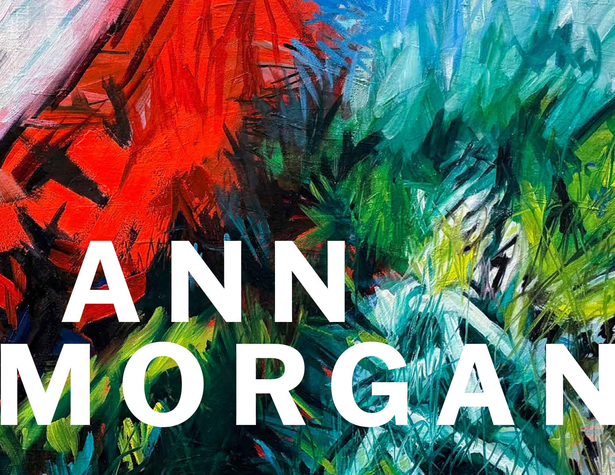 Ann Morgan Portfolio 2024 by Ann Morgan - Issuu
