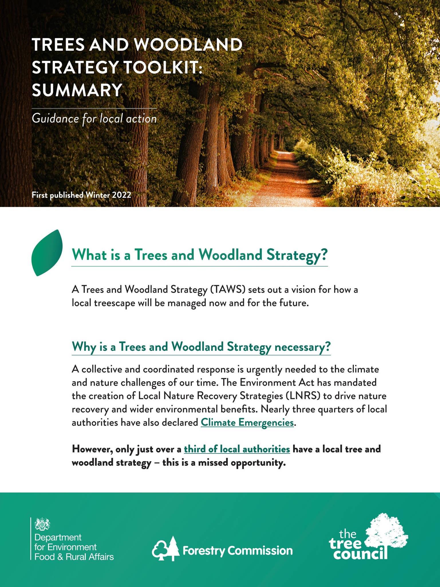 Tree Council Trees and Woodland Strategy Summary 2022 by thetreecouncil ...