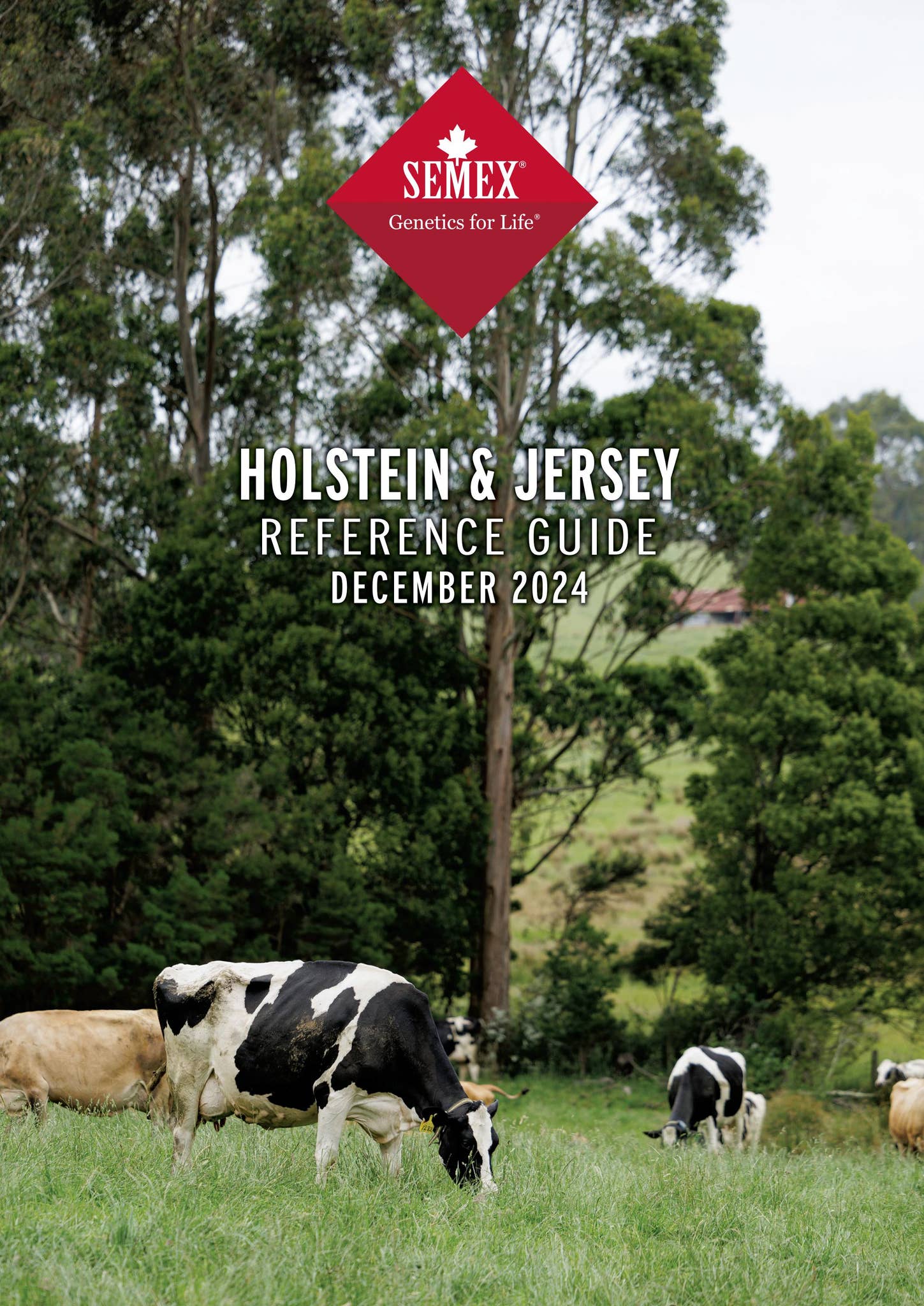 Semex - December 2024 Australia Catalogue by Semex - Issuu