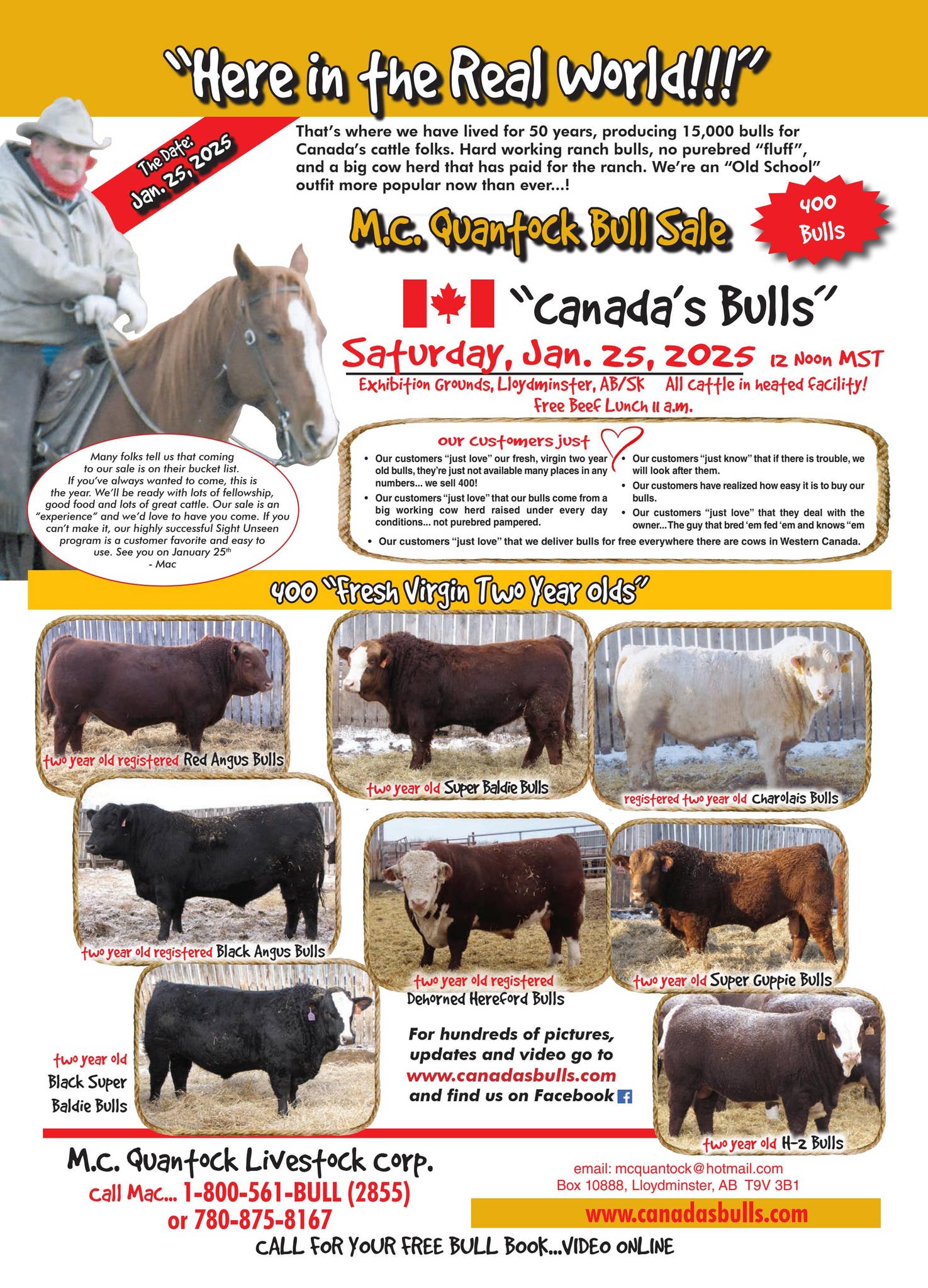 M.C. Quantock Bull Sale Flyer - December 2024 by Today's Publishing Inc ...