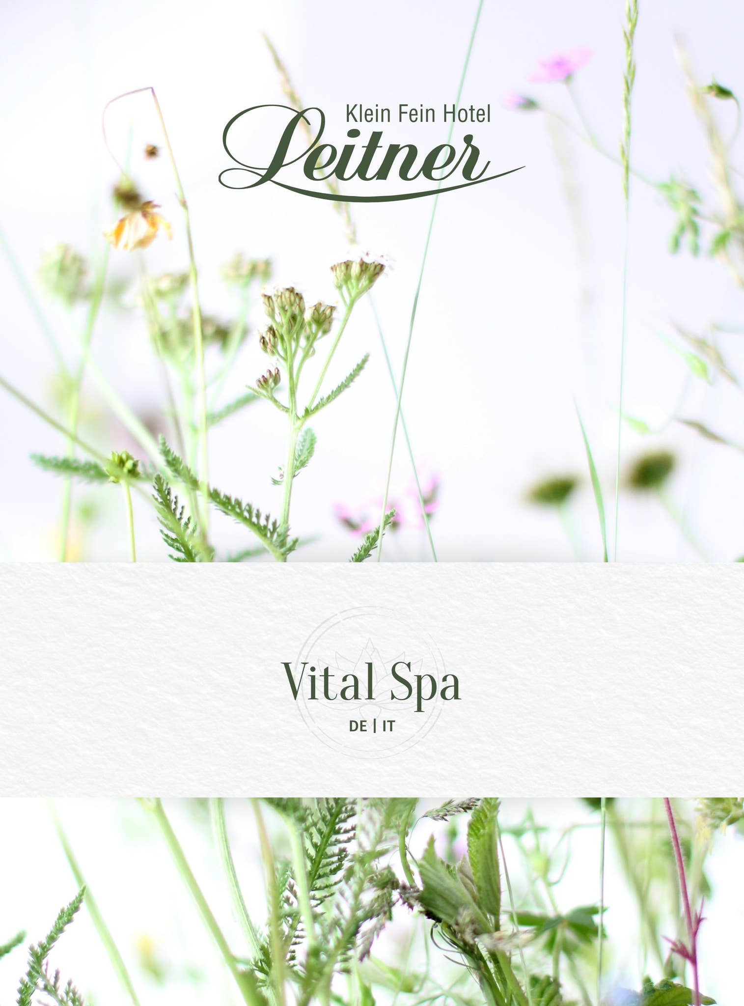 LEITNER | Spa Broschüre | 2024 by tt• consulting+marketing+digital - Issuu