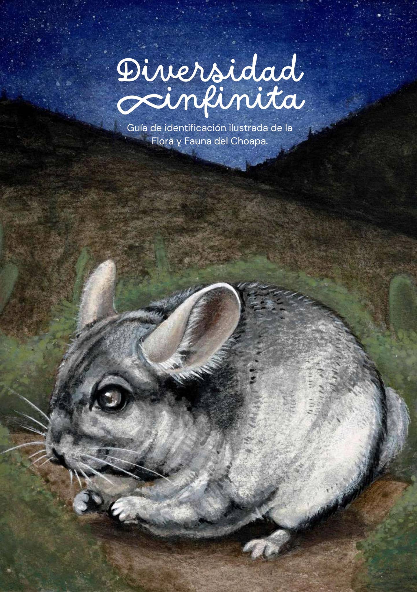 La provincia del Choapa, Nicole Astorga. by Nicole Astorga - Issuu