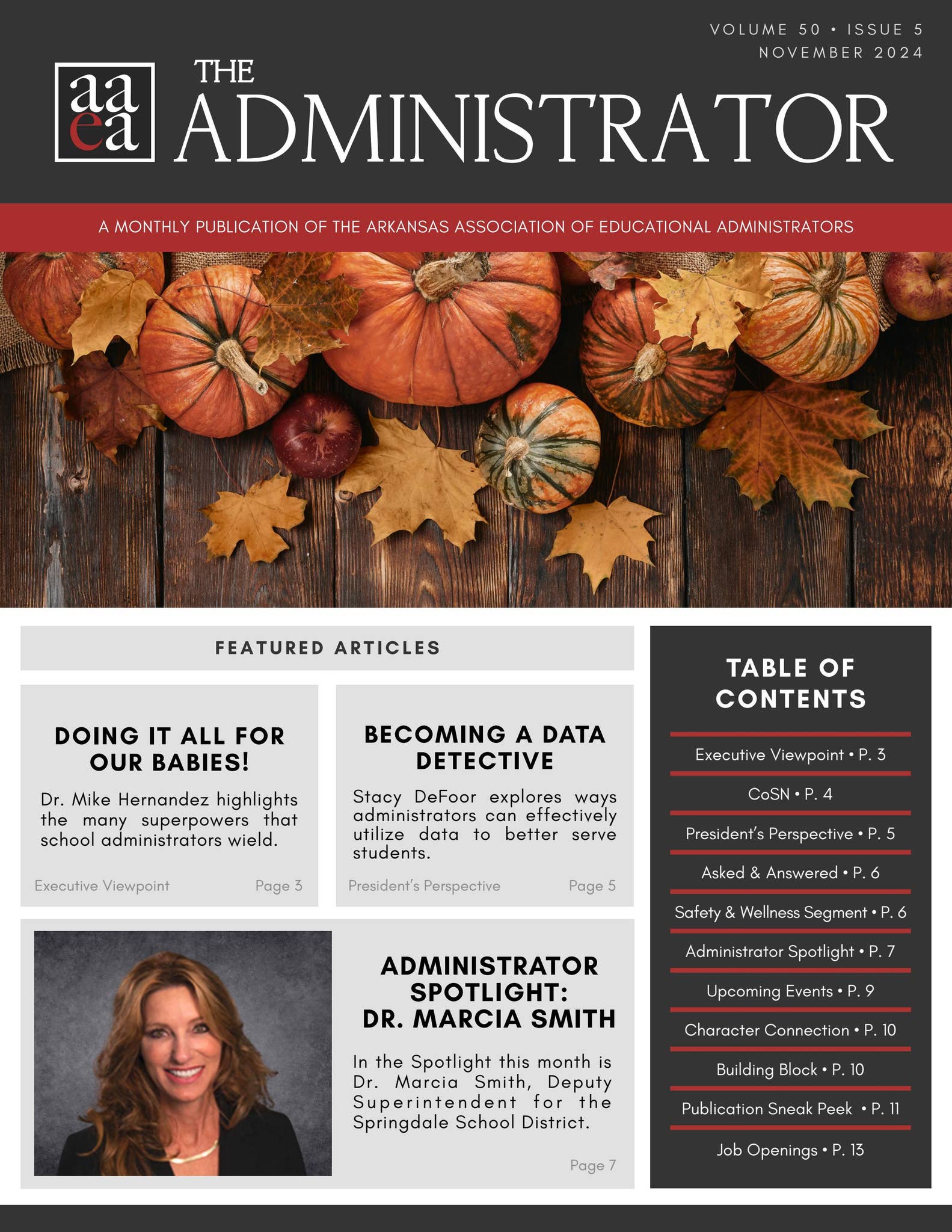The Administrator Newsletter - November 2024 by theaaea - Issuu