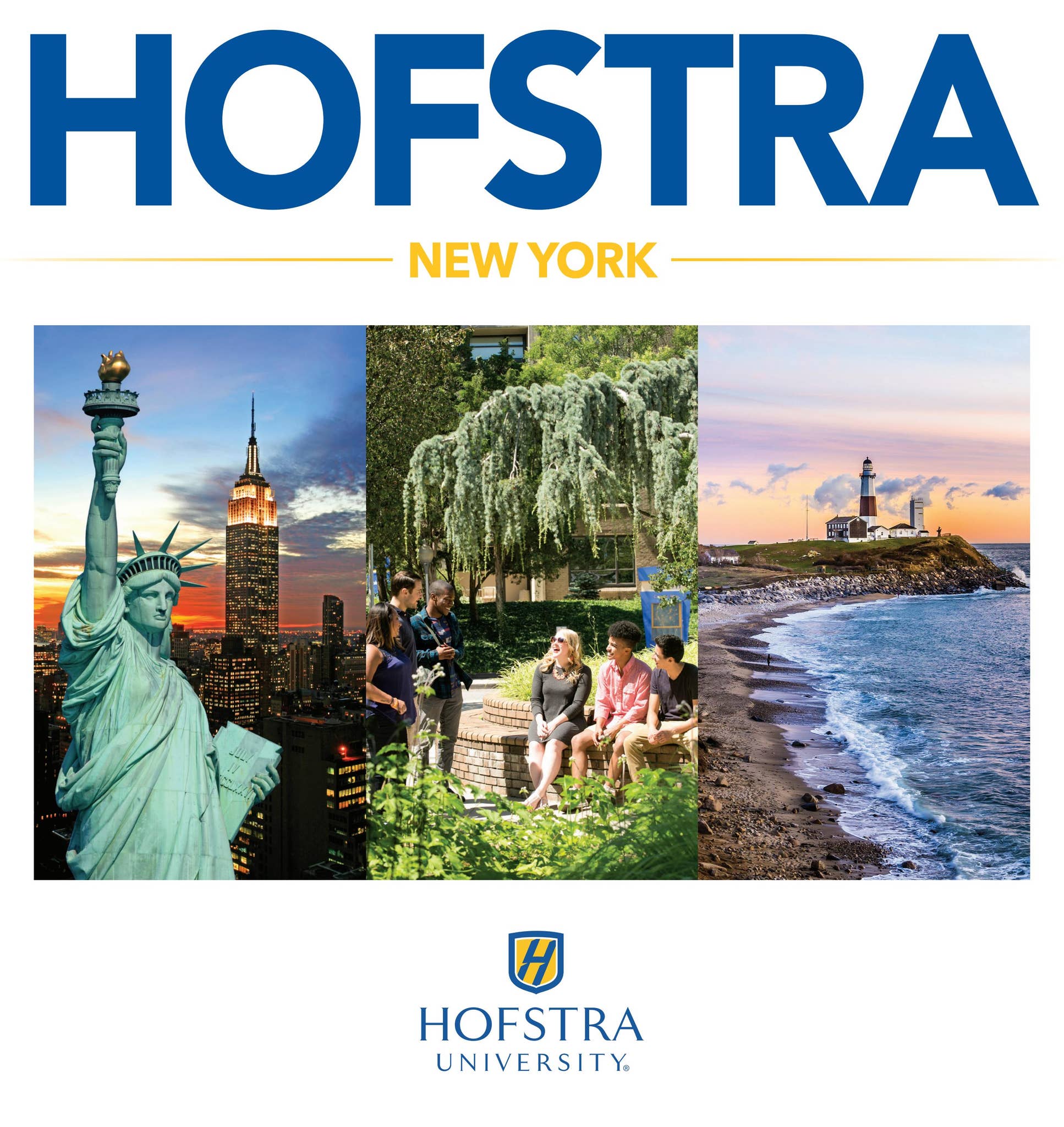 International Brochure | Hofstra New York by Hofstra University - Issuu