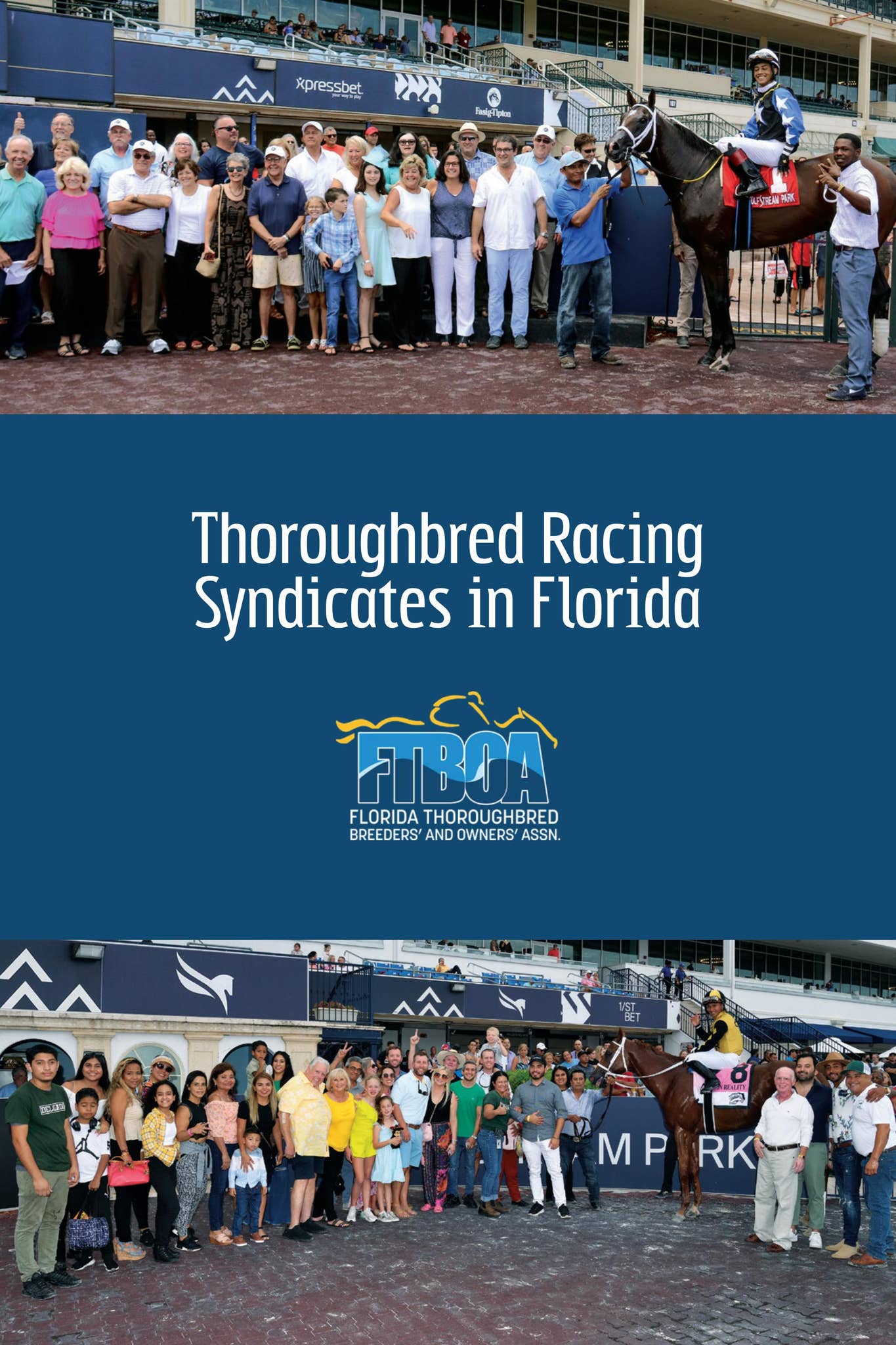 Thoroughbred Racing Syndicates in Florida by Florida Equine ...