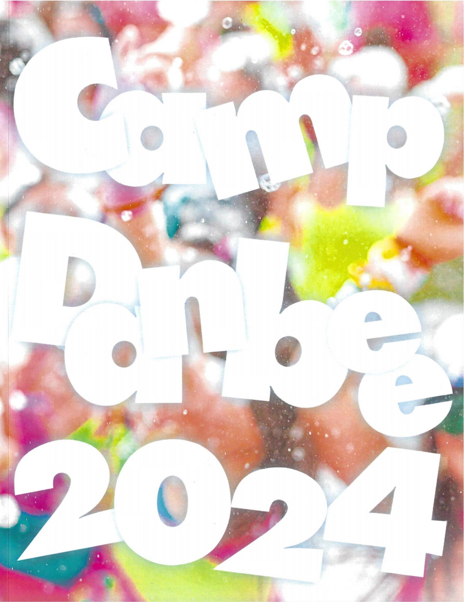 2024 Danbee Yearbook by Camp Danbee - Issuu