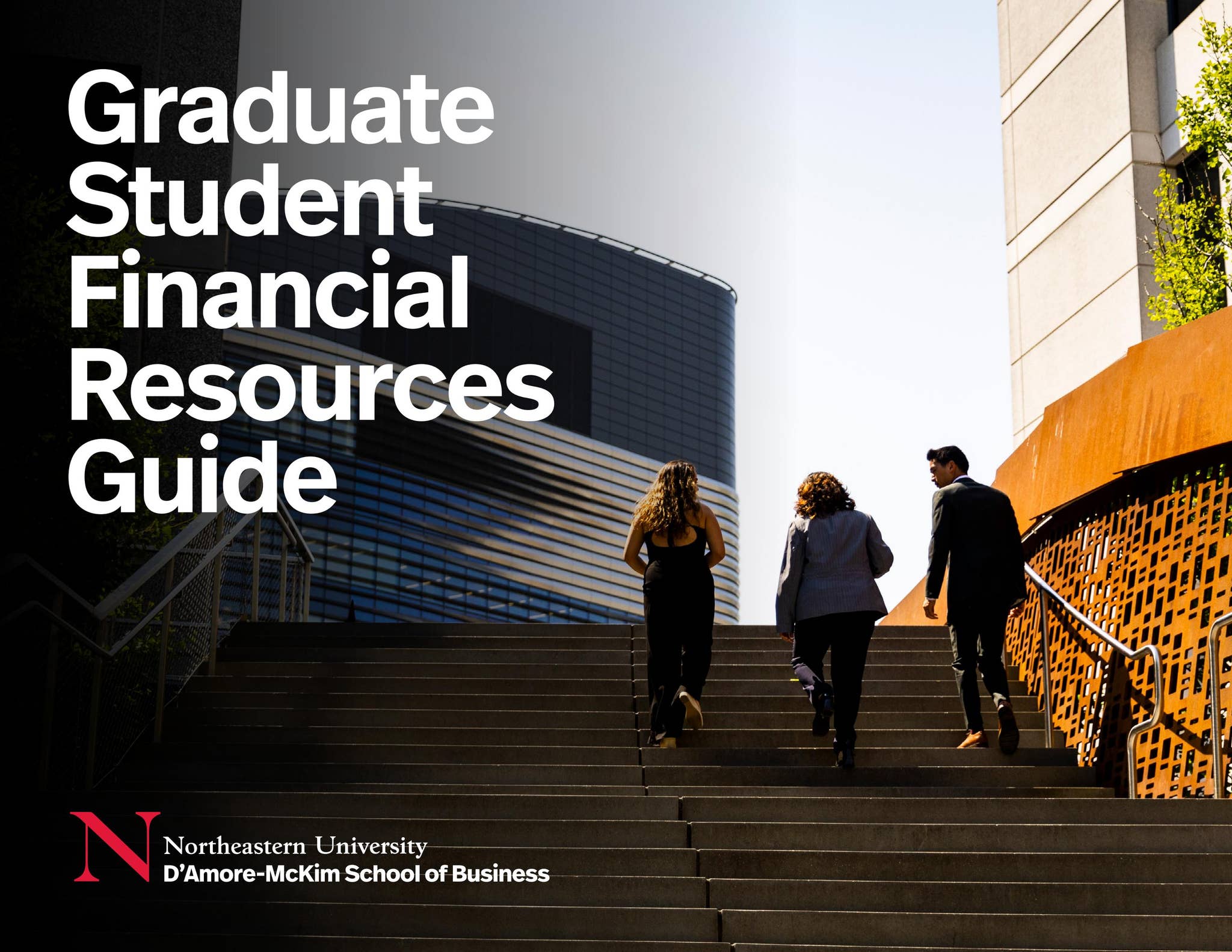 DMSB_Financial Aid_Brochure_Issuu by D’Amore-McKim School of Business ...
