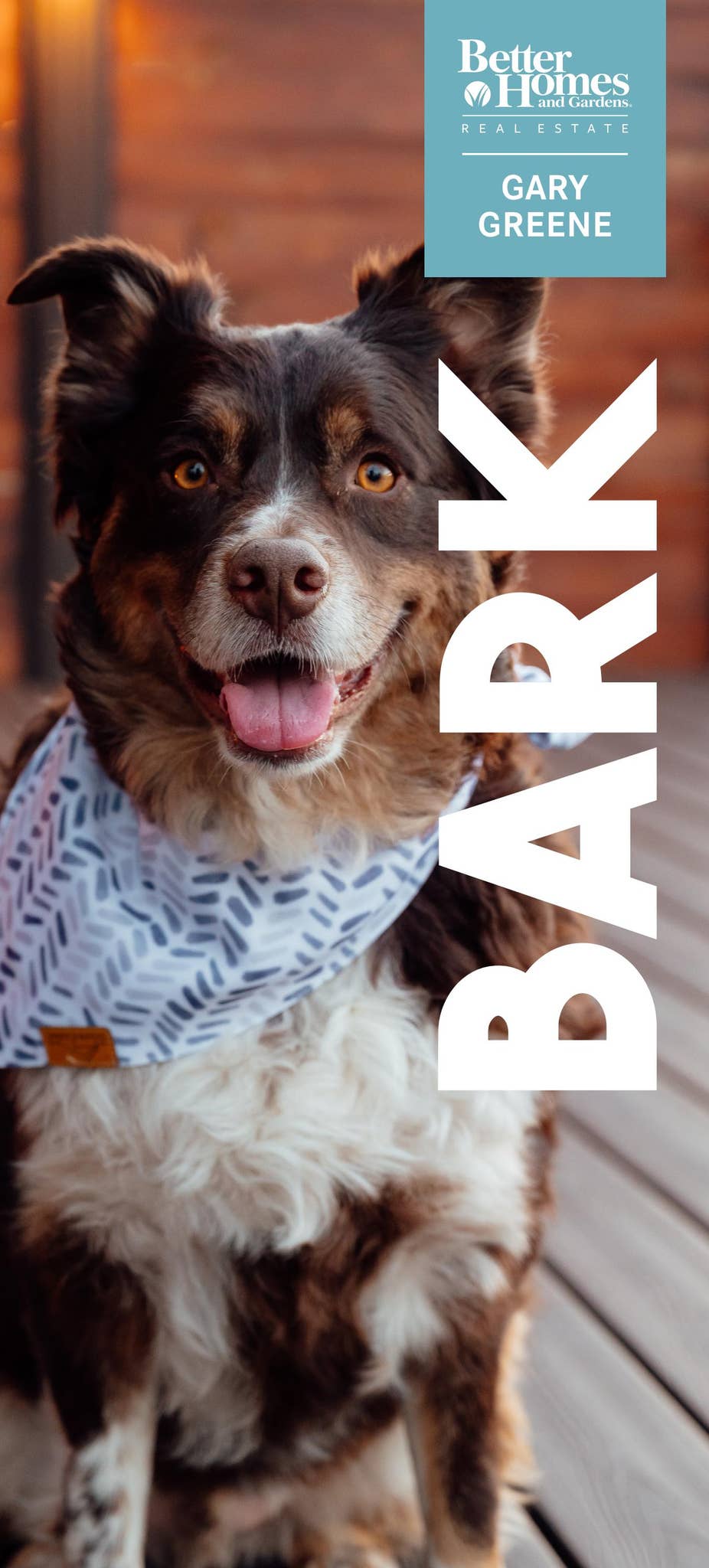 Out and About | February 2025 | Bark by Better Homes and Gardens Real ...