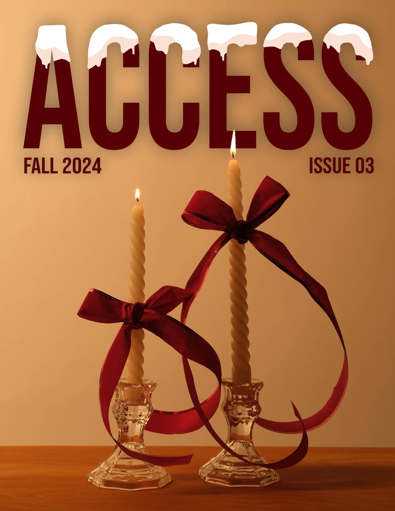 Access Magazine Fall 2024 Issue 03 by Access Magazine - Issuu