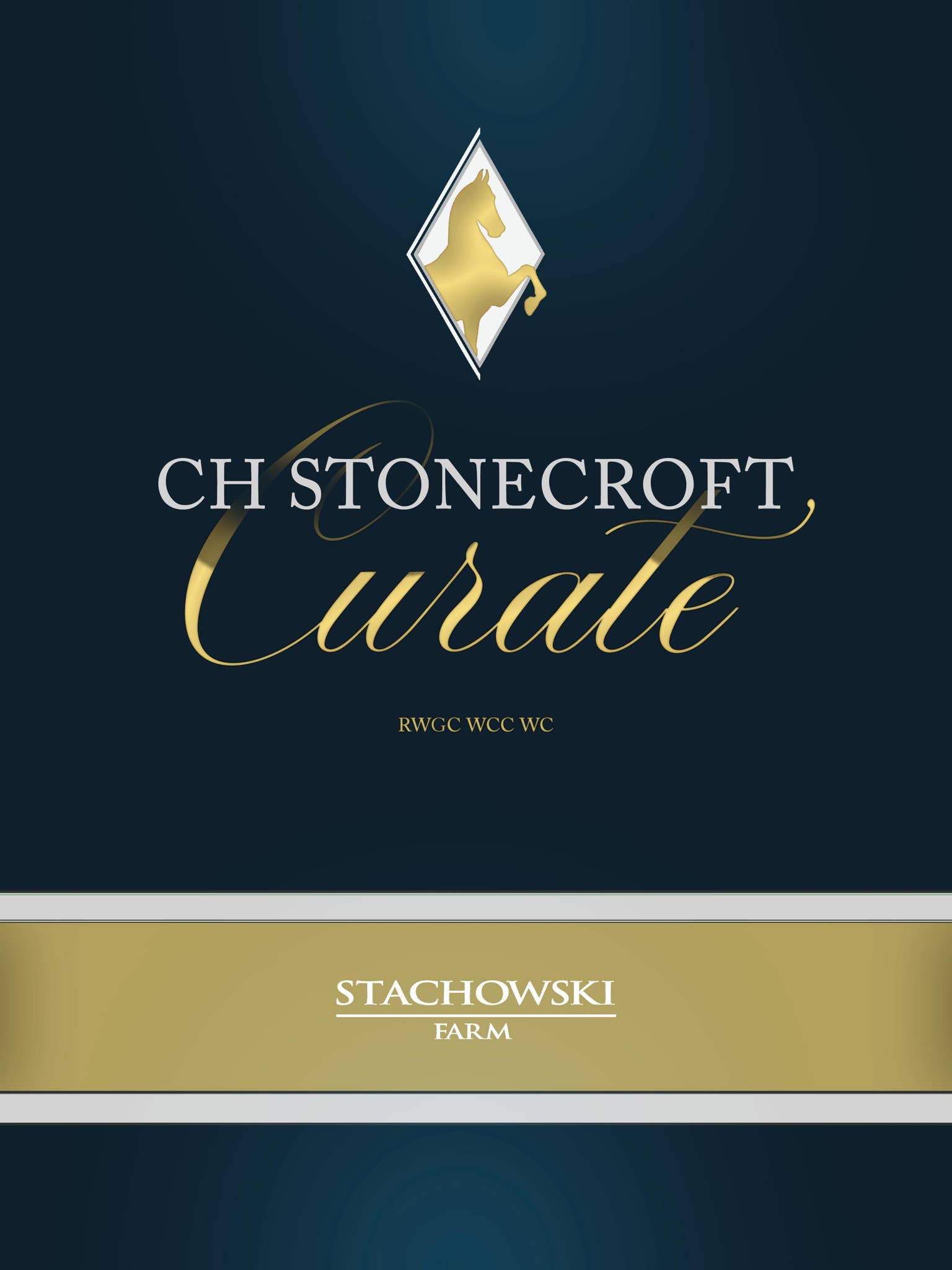 Stachowski Farm: CH Stonecroft Curate by The Equestrian Guide - Issuu