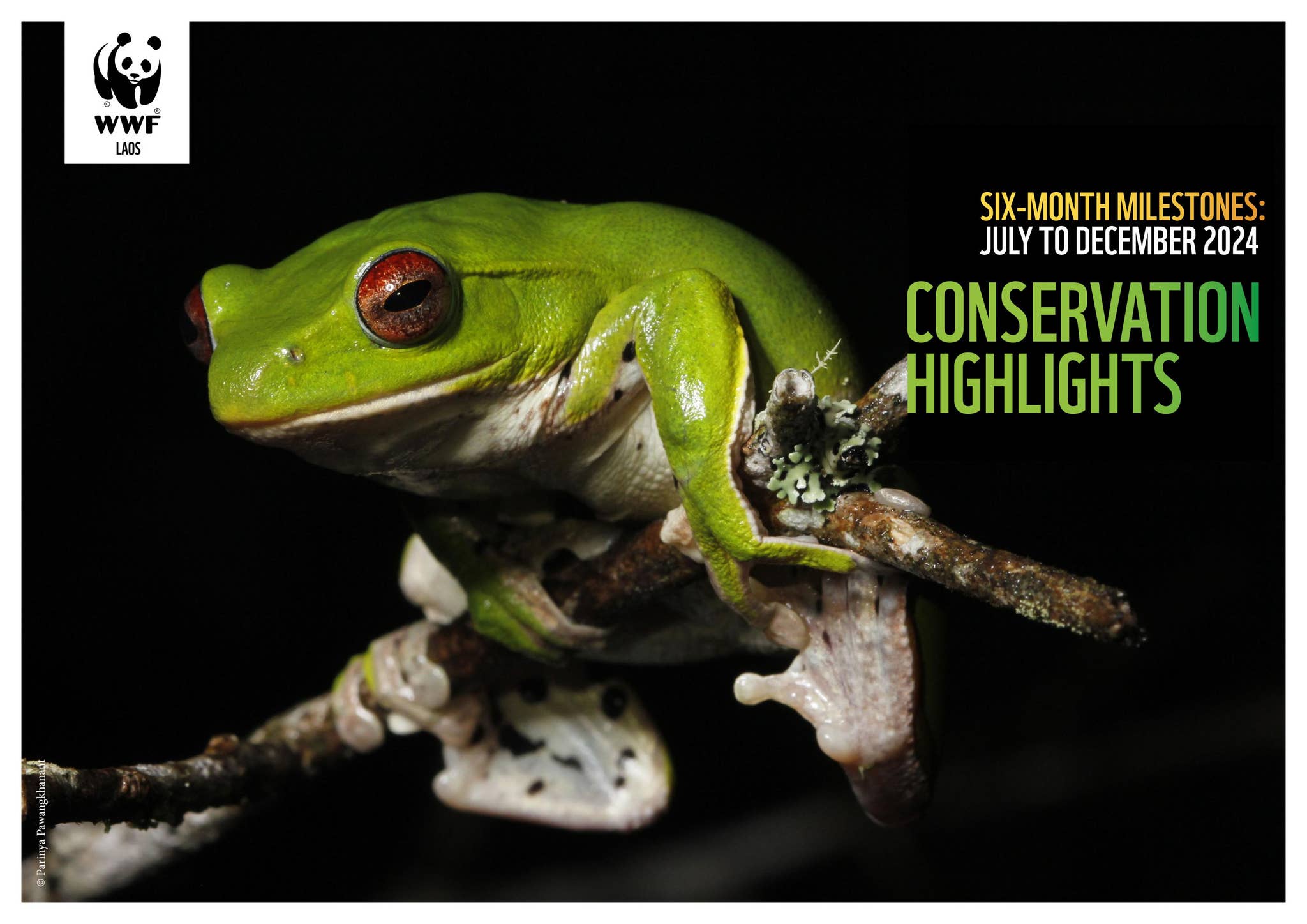 WWF-Laos Six-Month Conservation Highlights 2024 by WWF-Asia Pacific - Issuu