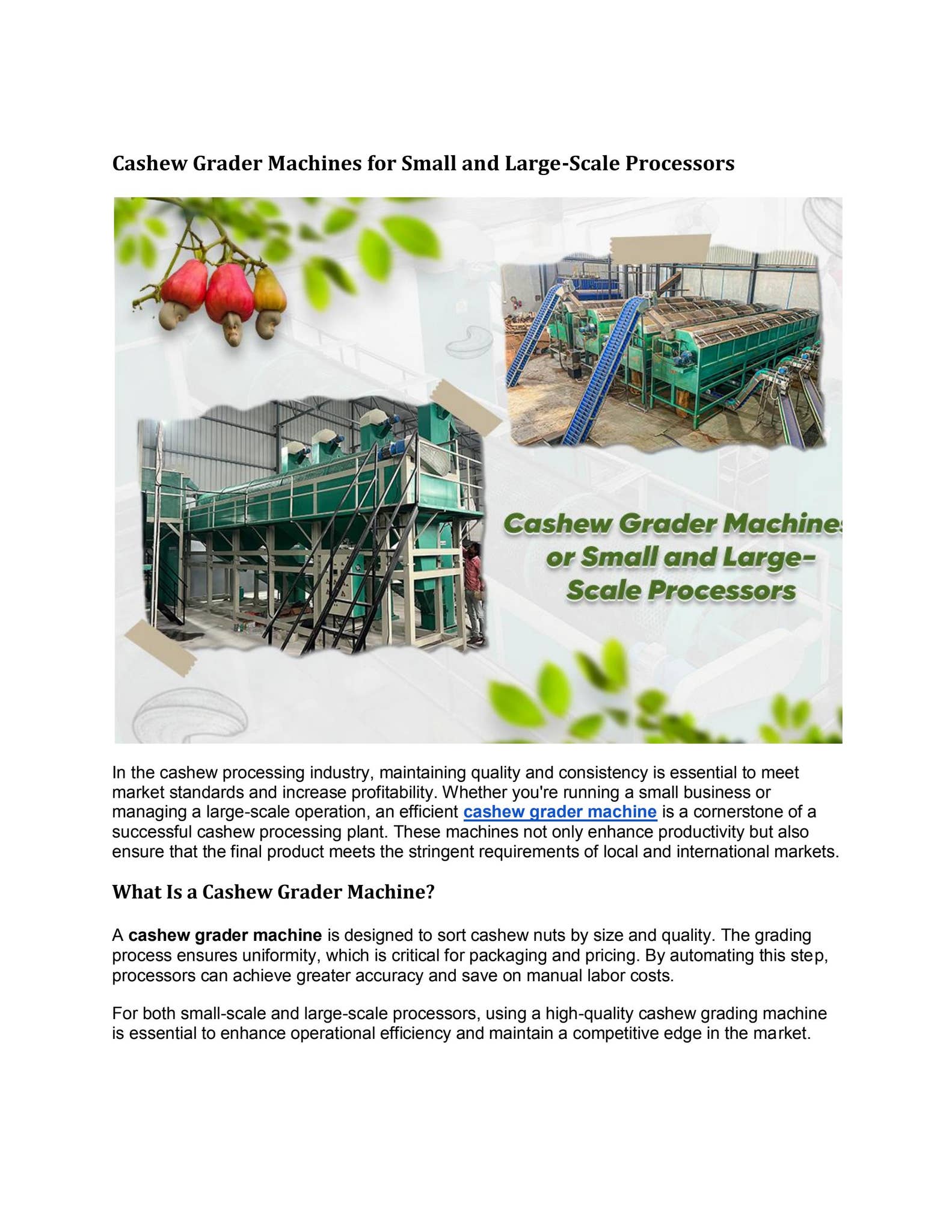 Cashew Grader Machines for Small and Large Processors by Parivartan ...