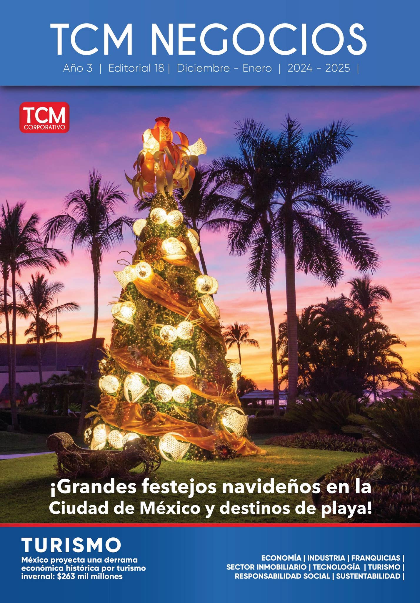 TCM NEGOCIOS DICIEMBRE - ENERO by tcmmagazine - Issuu