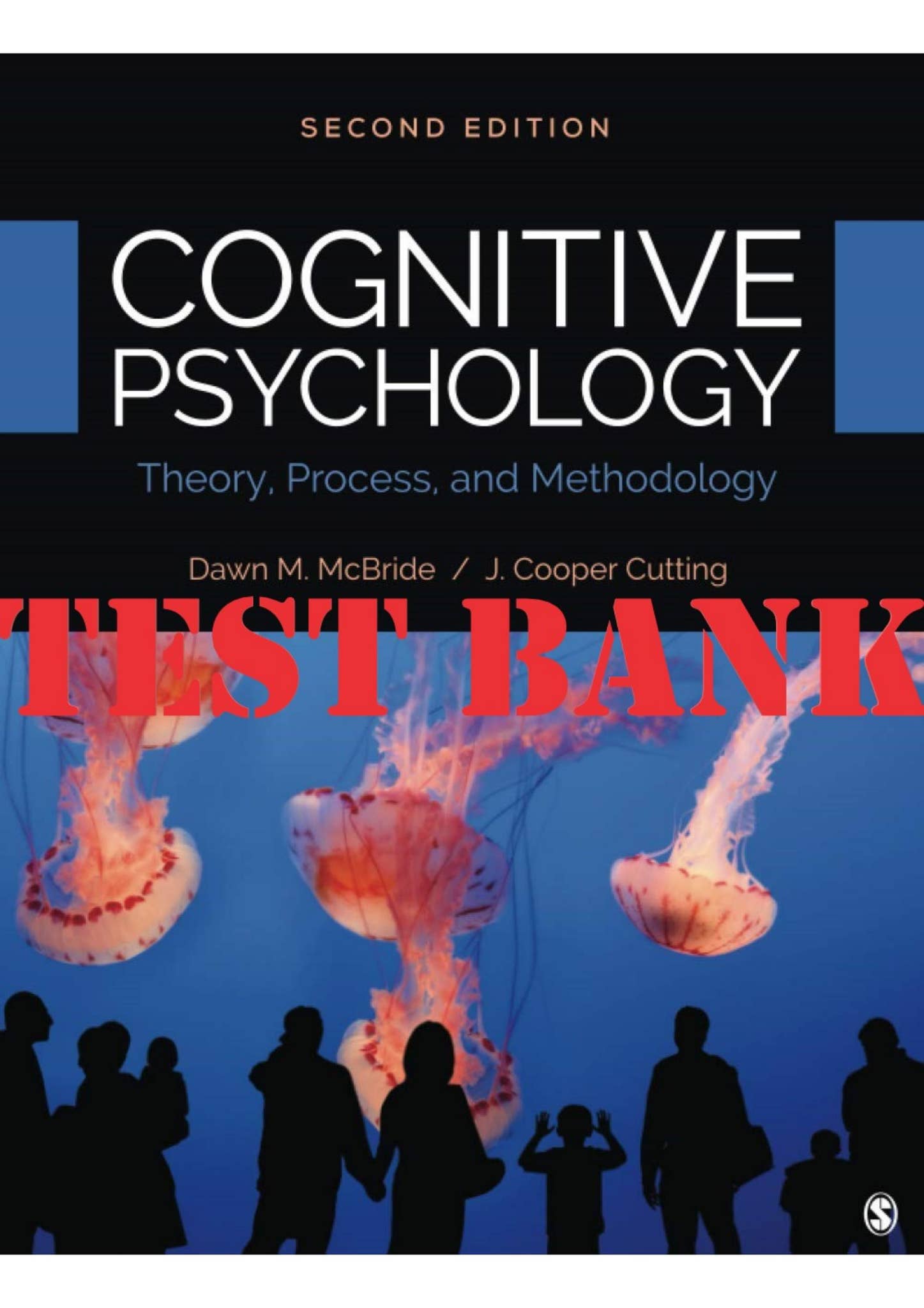 Cognitive Psychology, Theory, Process, and Methodology, 2e Dawn McBride ...