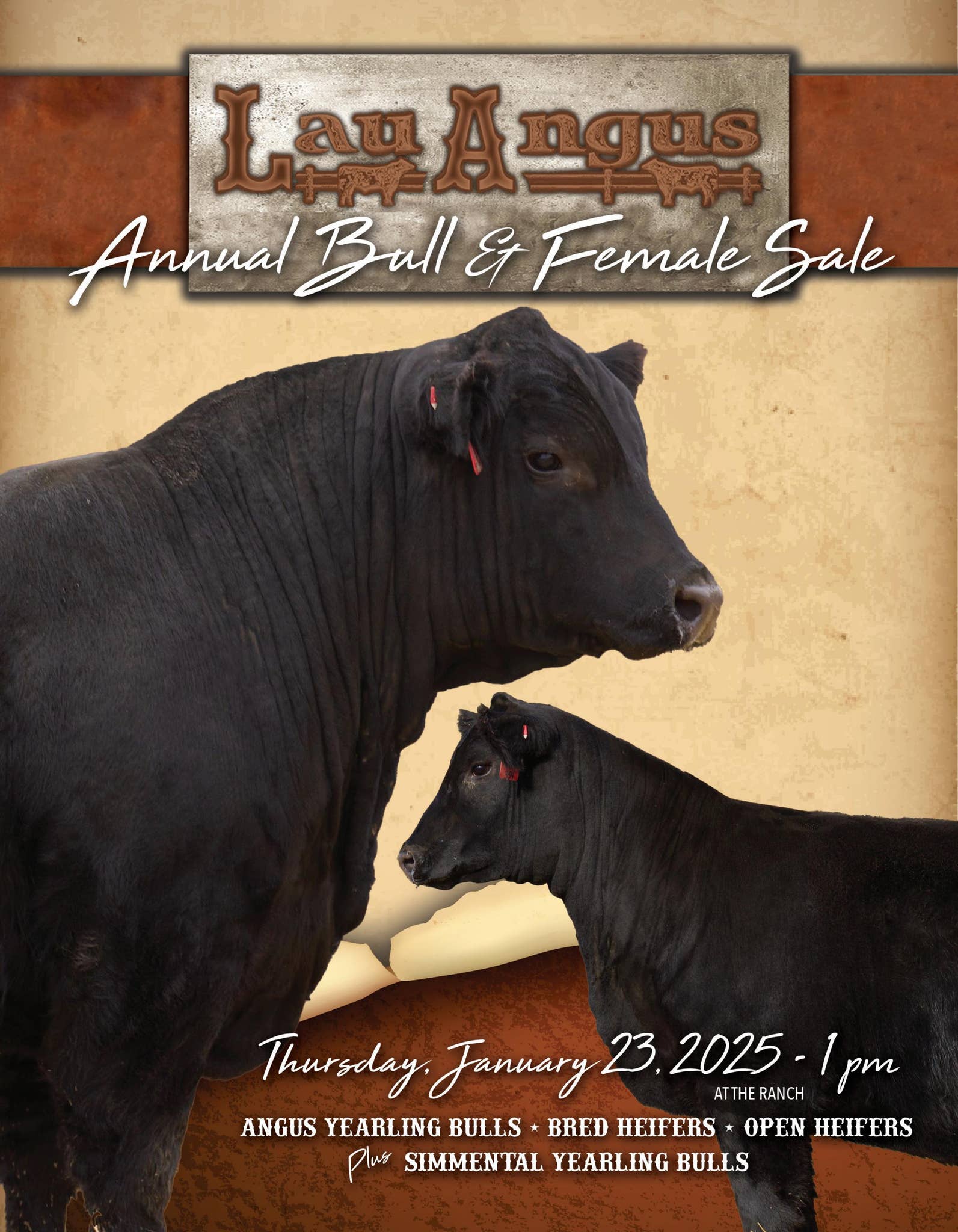 2025 Lau Angus Annual Bull and Female Sale by kelsey.steinkraus - Issuu