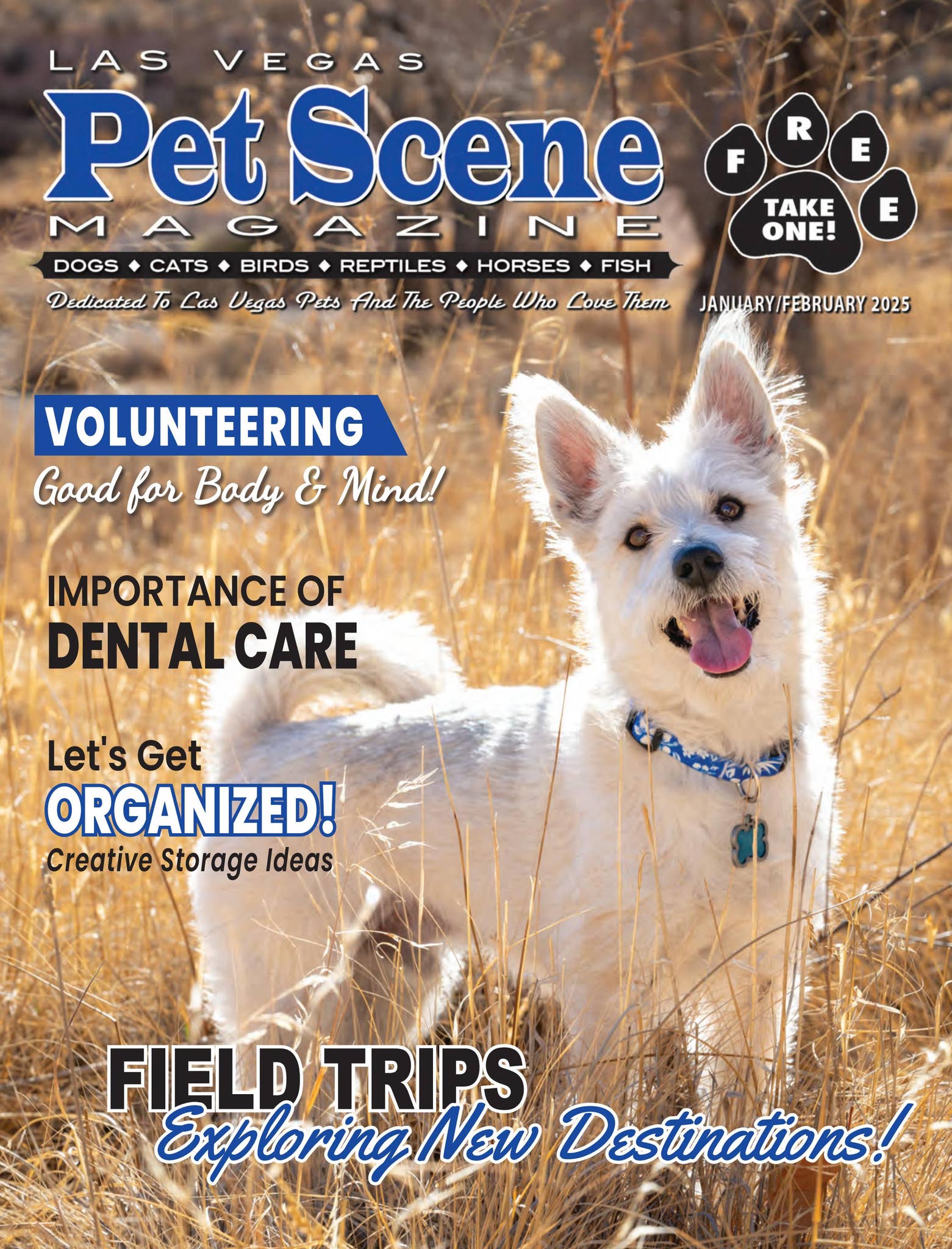 Las Vegas Pet Scene Magazine: January/February 2025 by Homes ...