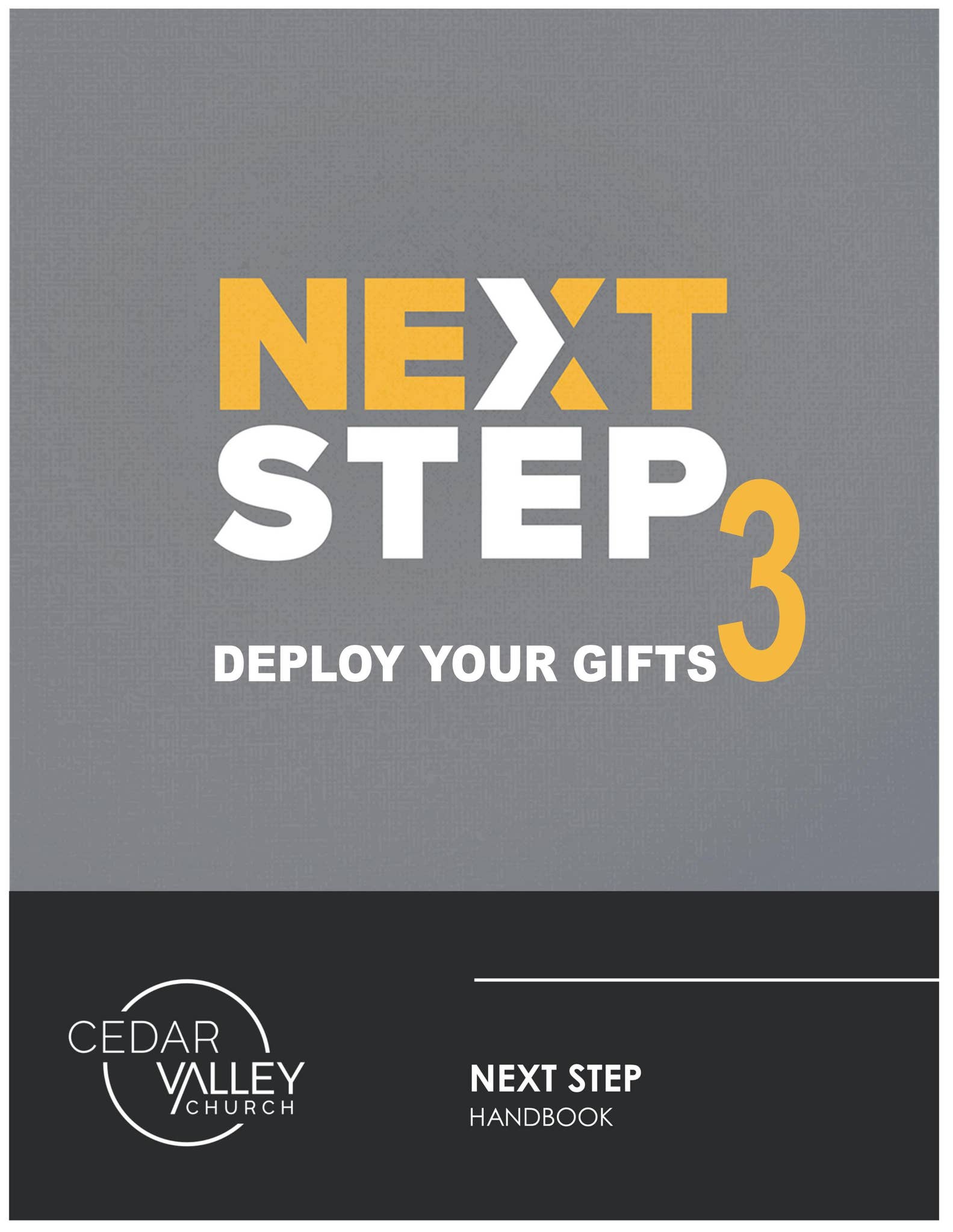 CVCNextStepBooklet_print Step 3 - DISC by Cedar Valley Church - Issuu