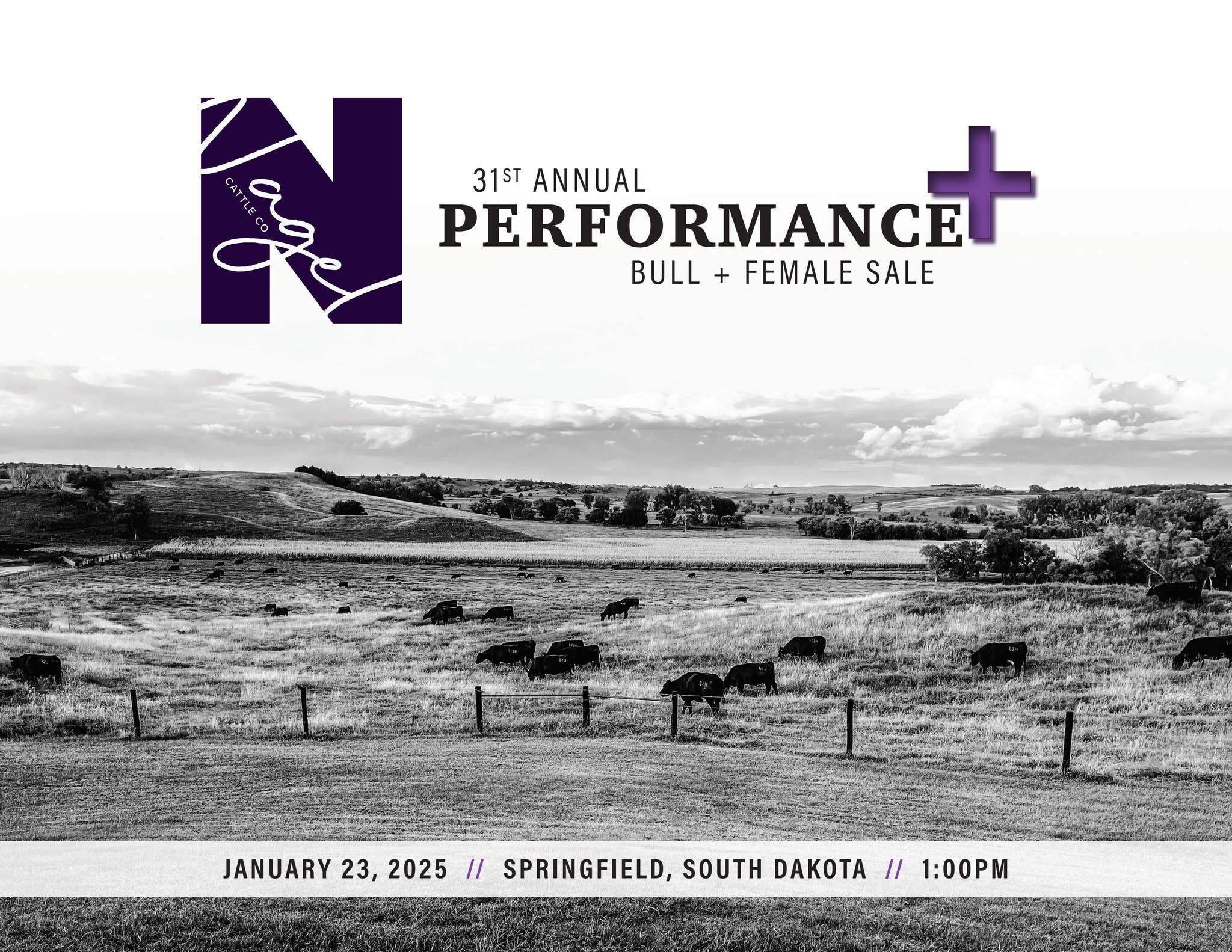 Nagel Cattle Company - 31st Annual Performance+ Bull & Female Sale by ...