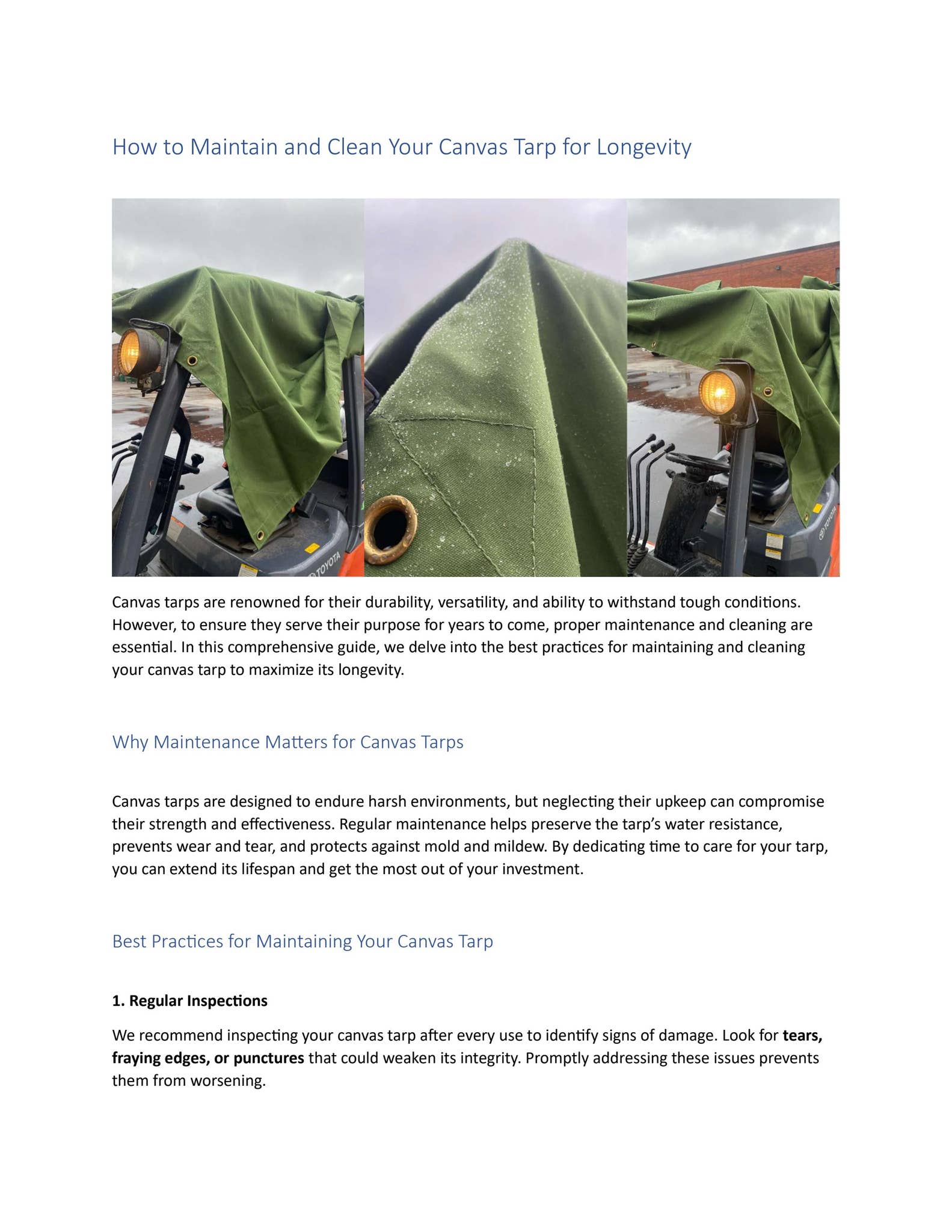 How to Maintain and Clean Your Canvas Tarp for Longevity by Lena Maia ...