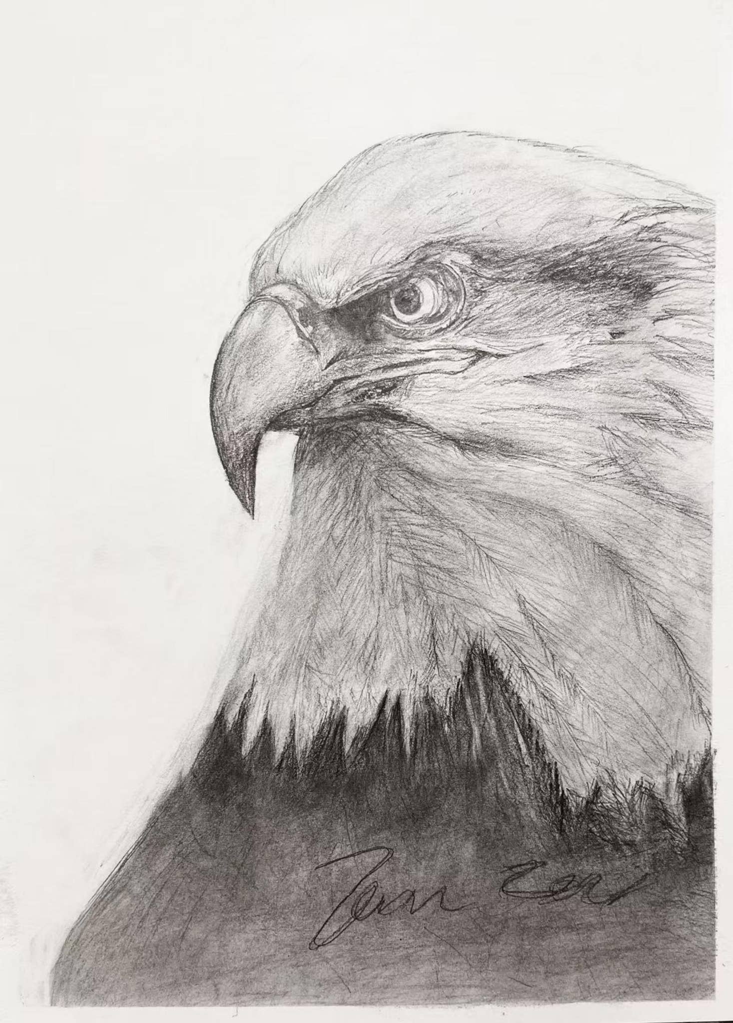 Ian Zou Drawing & Painting Portfolio by ianzou2009 - Issuu