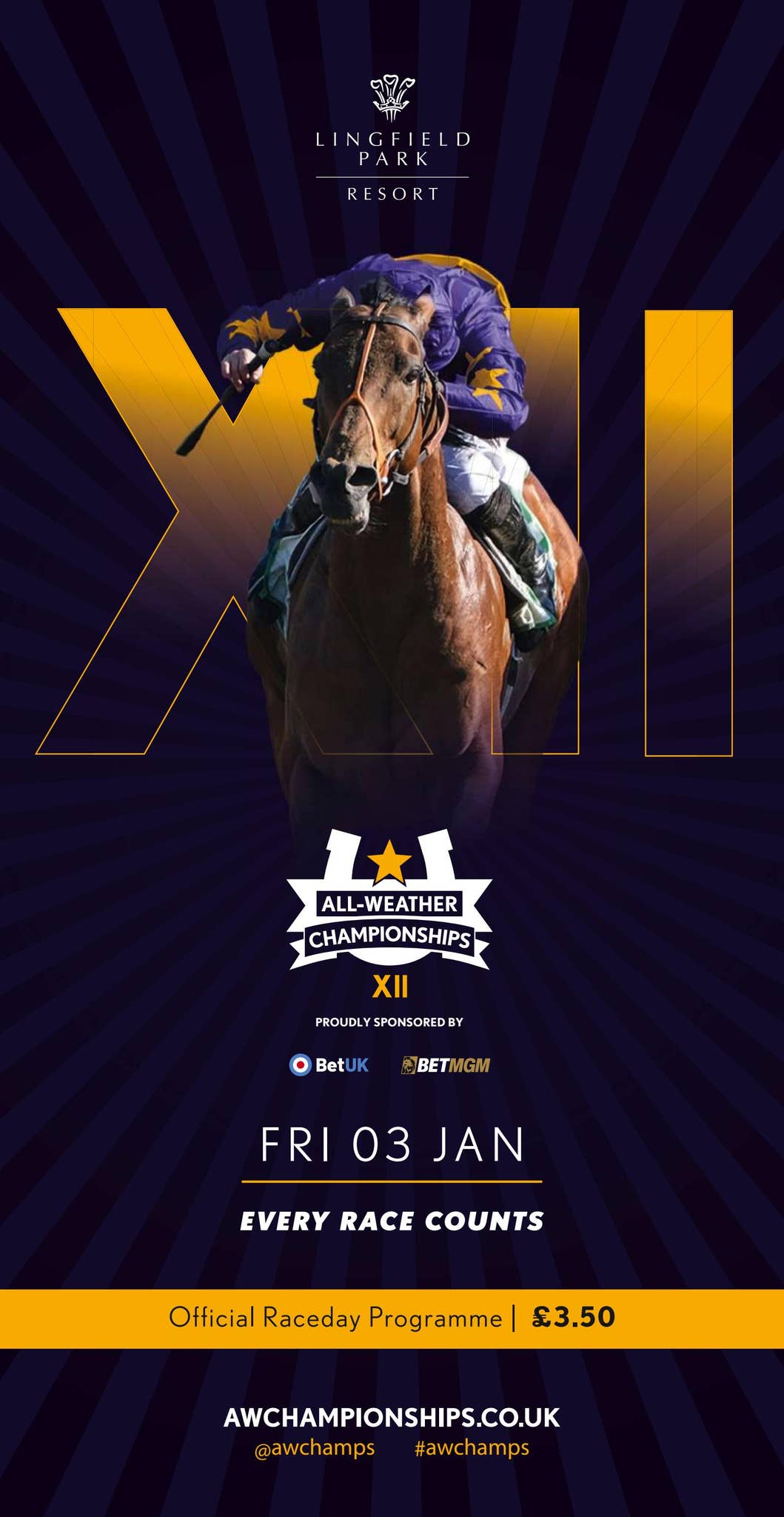 Lingfield Park Racecard - Friday 3rd January by Arena Racing Company ...