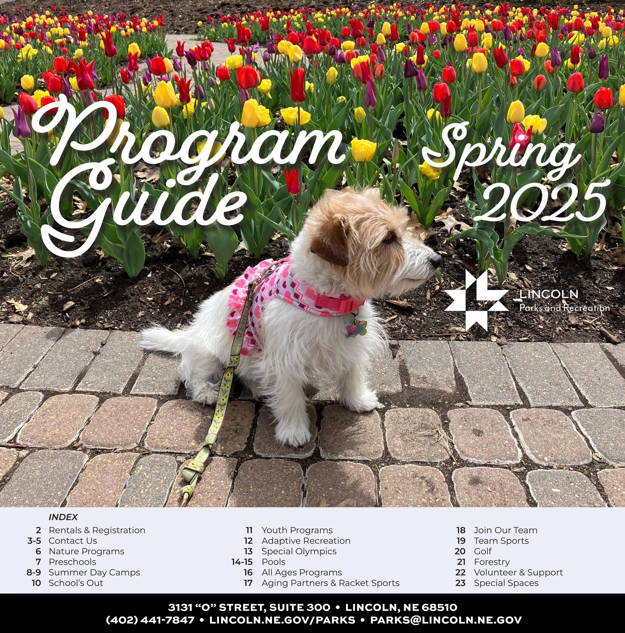 LPR Program Guide Spring 2025 by lincolnparksrec - Issuu