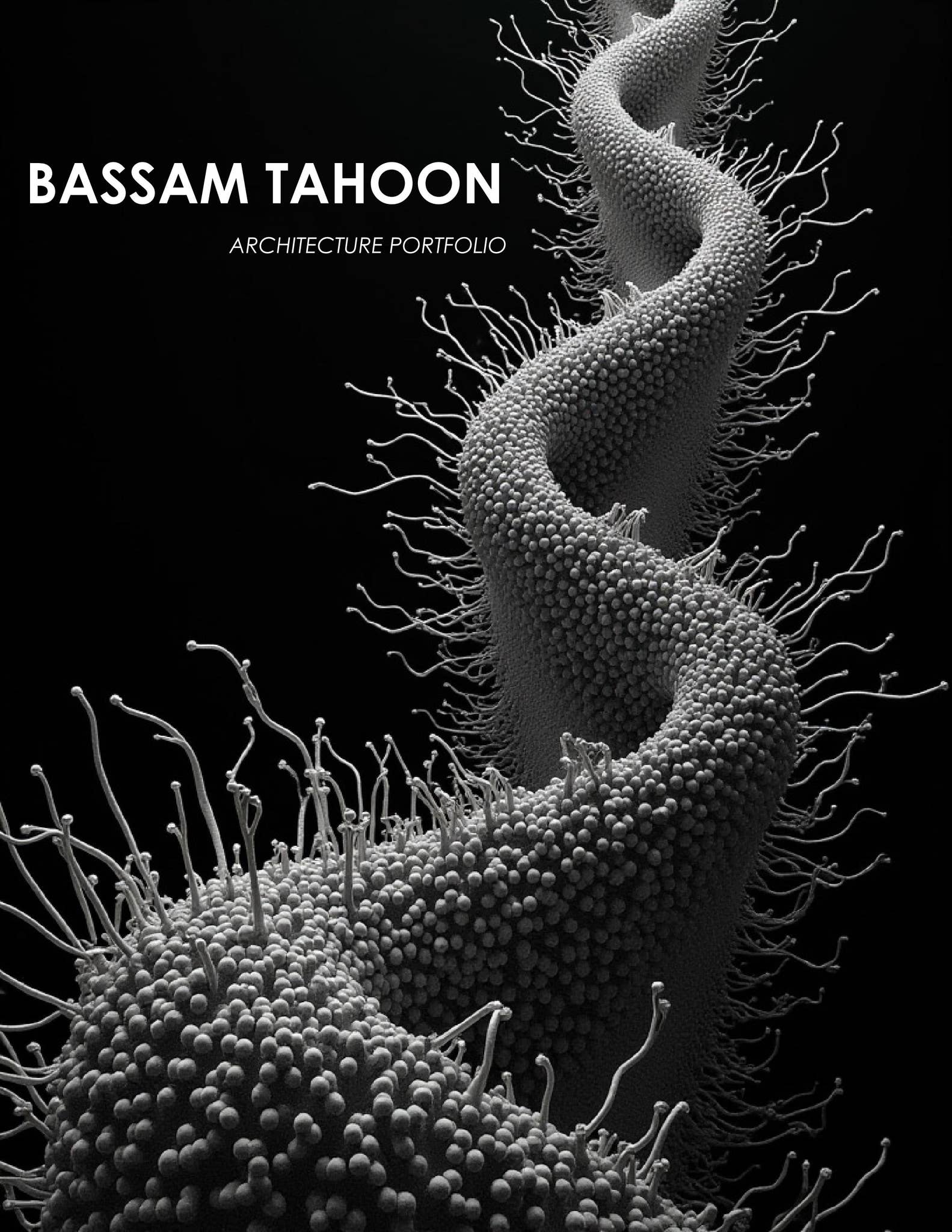 Bassam Tahoon's Portfolio by Bassam Tahoon - Issuu