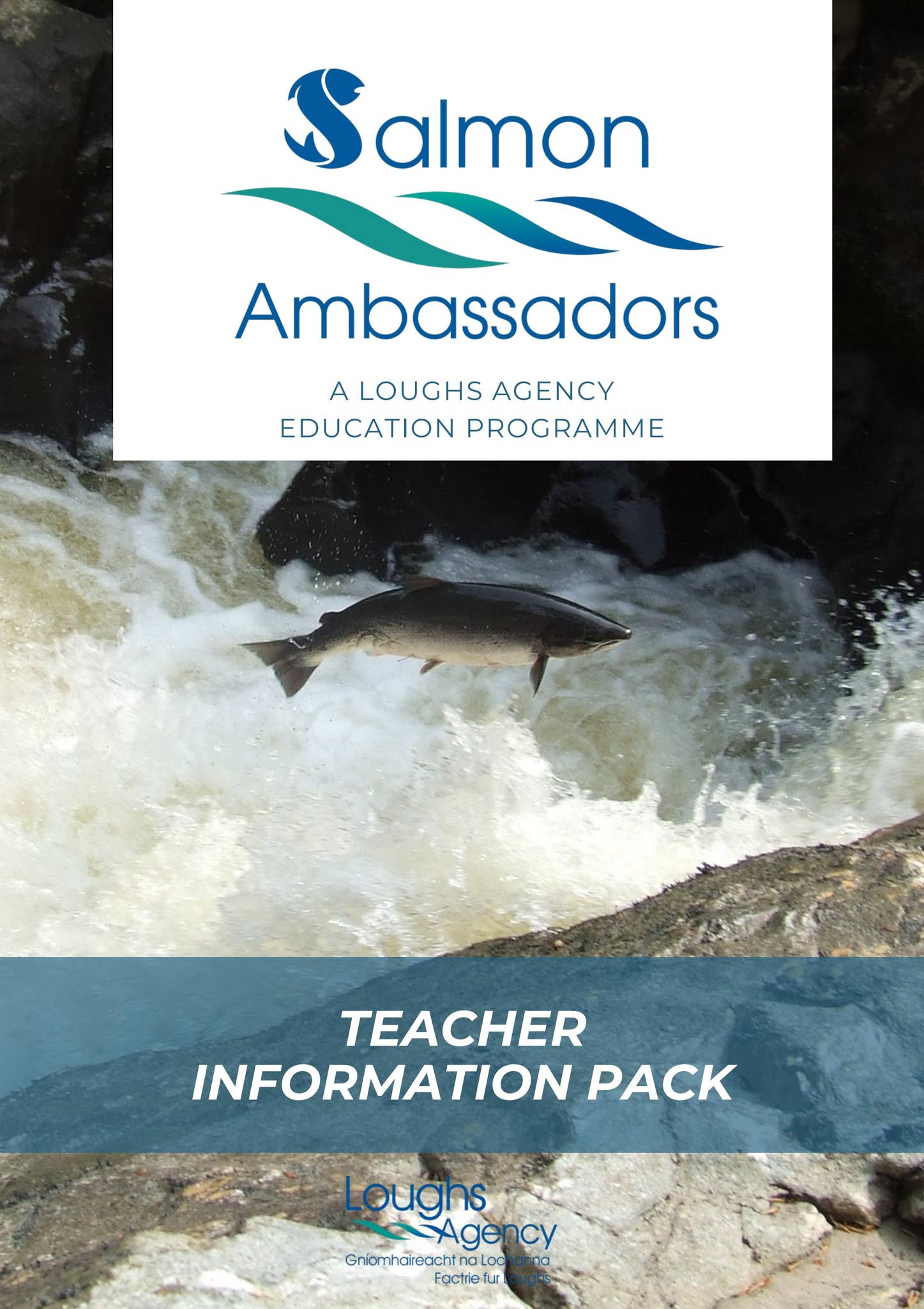 Salmon Ambassadors Teacher's Handout by loughsagency - Issuu