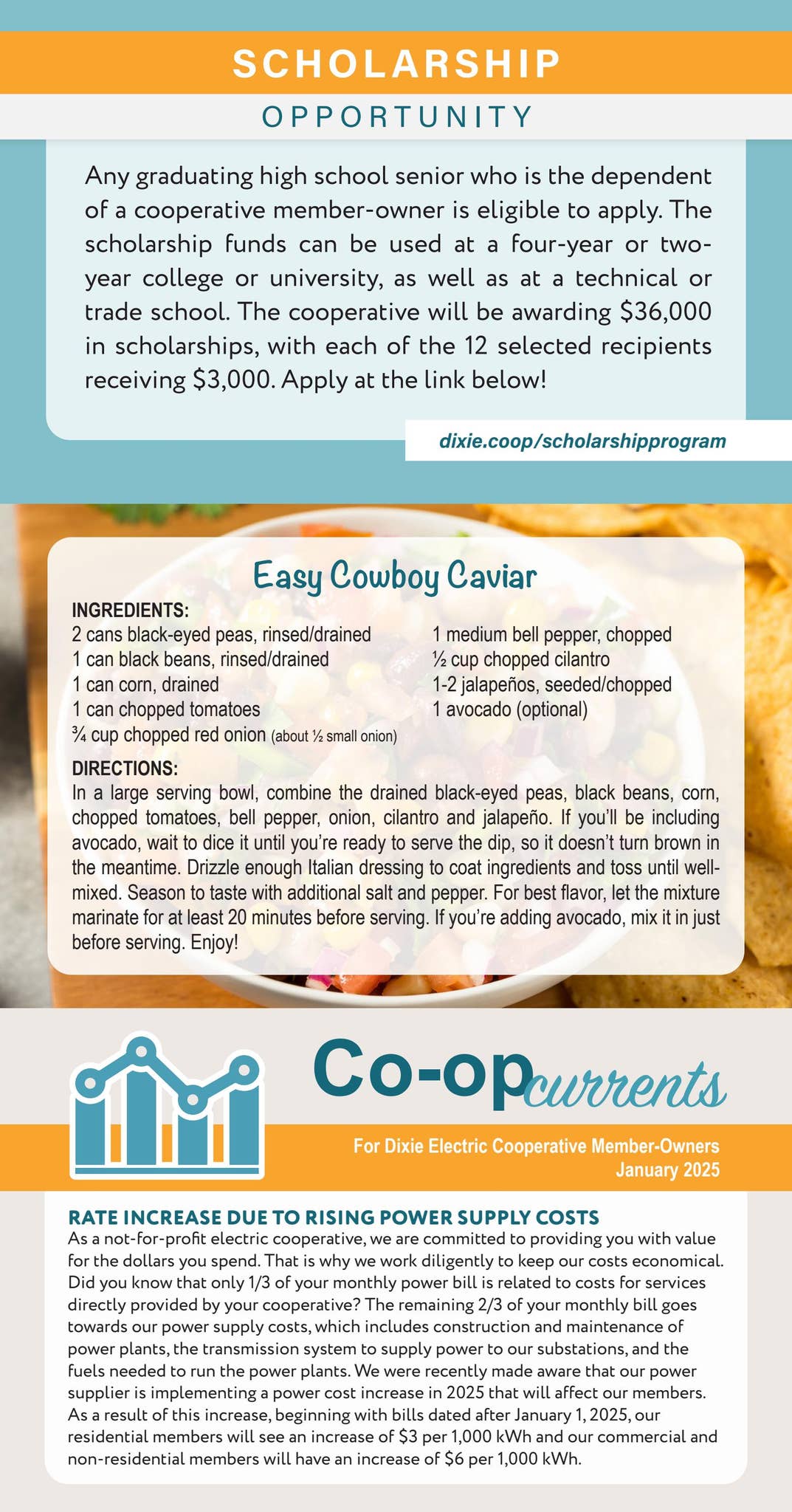 2025 January Dixie Electric Co-op Currents Bill Stuffer by Inside ...